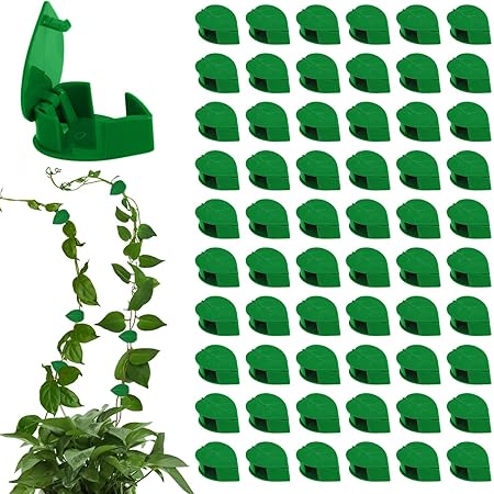 Amazon.com : HNHMT 60 pcs Plant Wall Clips, Plant Climbing Wall Fixture ...