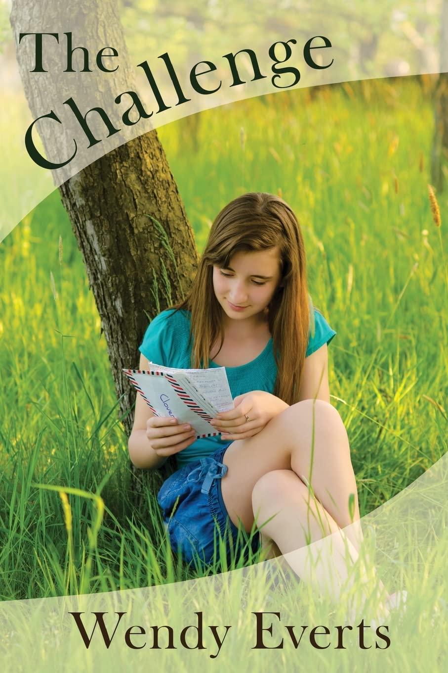 The Challenge: Everts, Wendy A., Erickson, Nancy L.: 9780997521009 ...