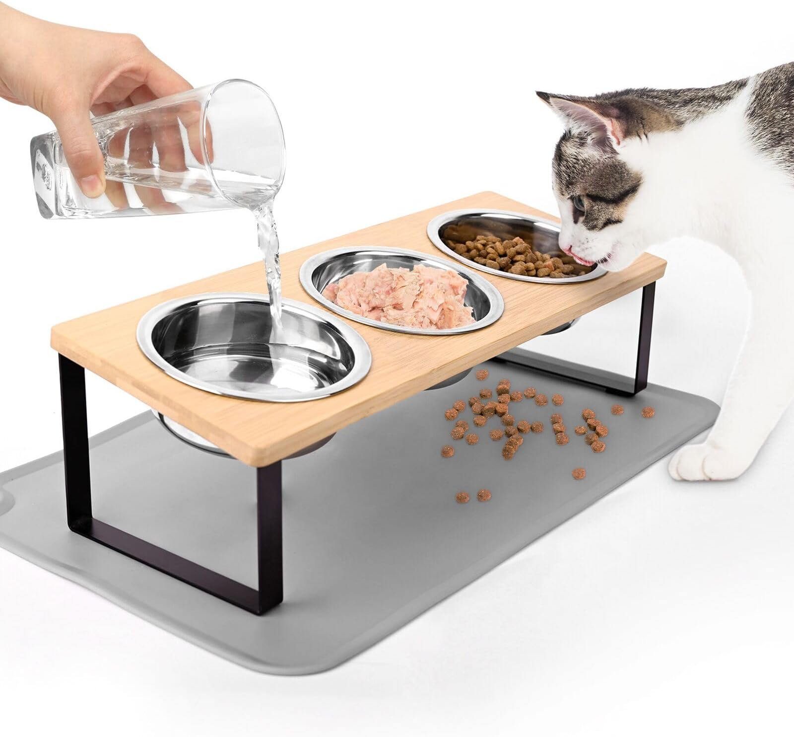 Elevated Cat Bowls with Non Slip Mat, 15° Tilted Raised Anti Vomit Cat ...