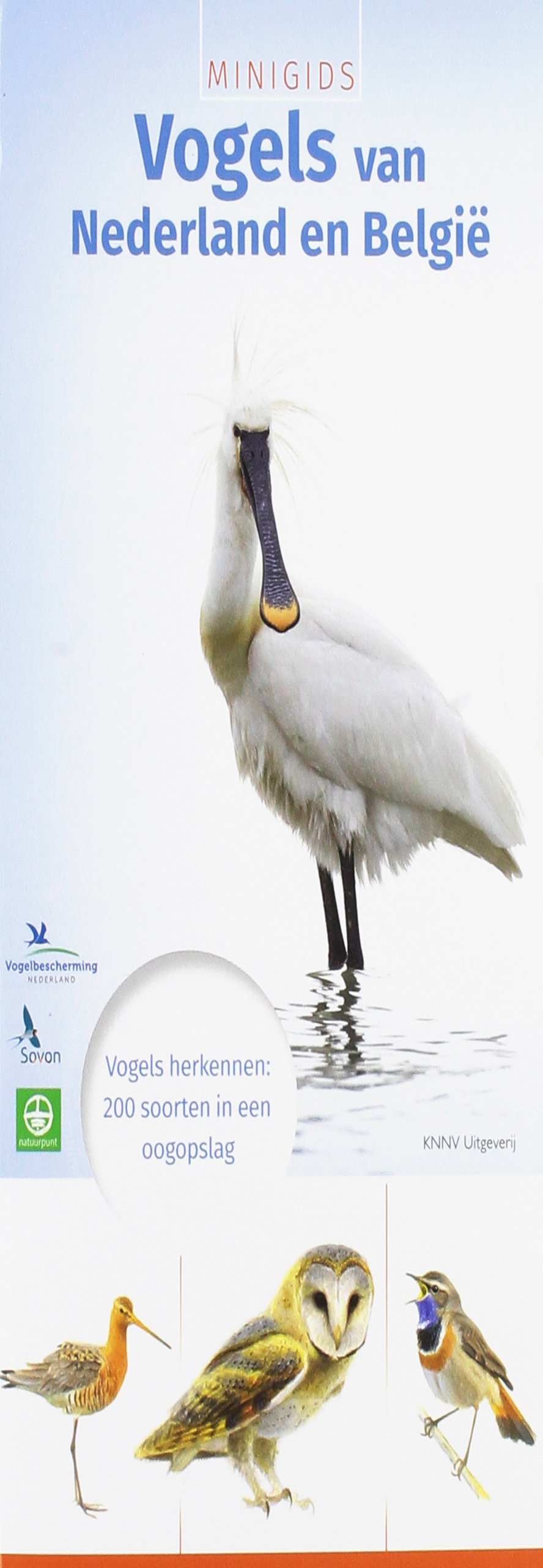 Buy Minigids Vogels van Nederland en België: vogels herkennen: 200 ...