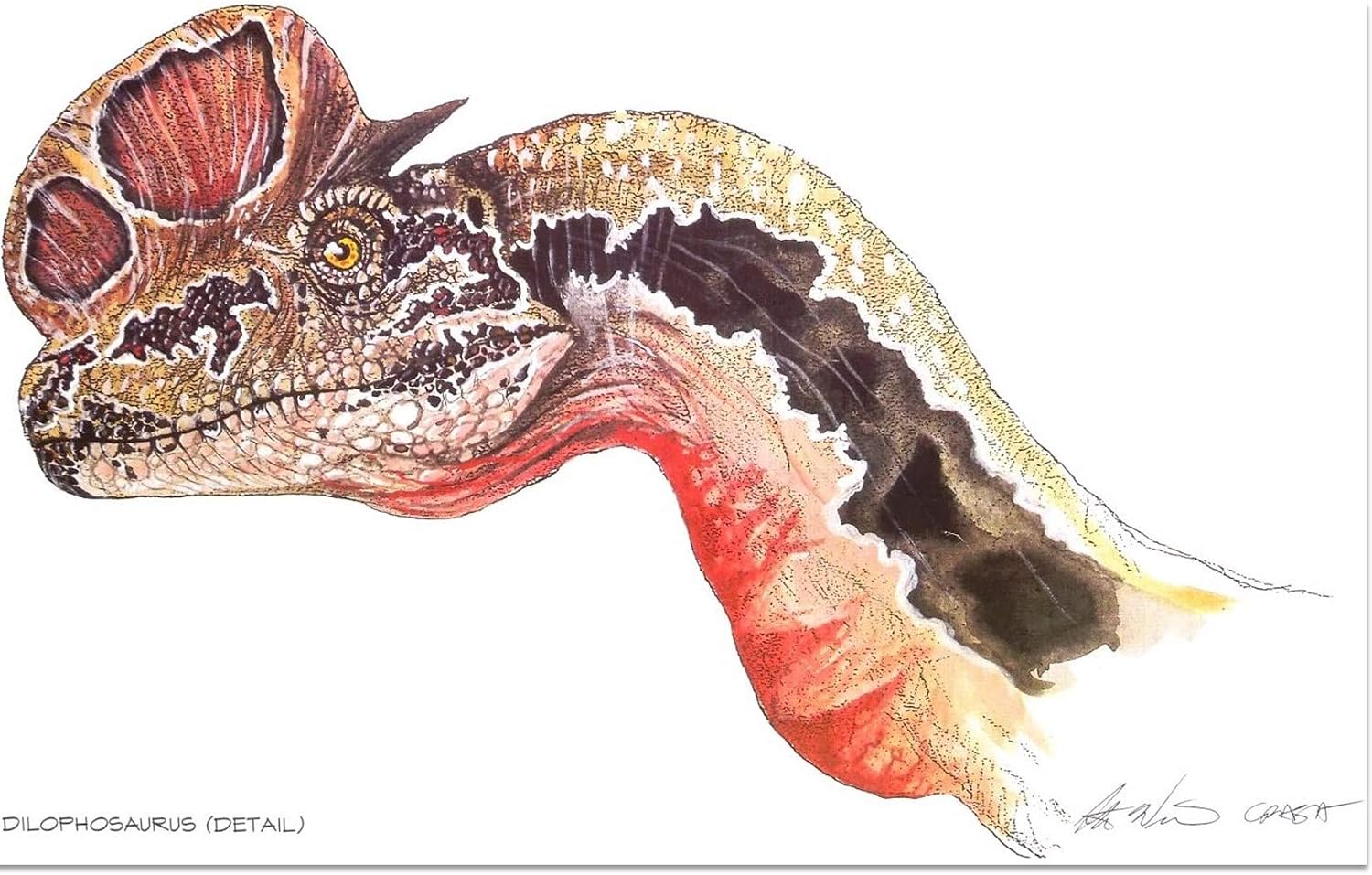 Amazon.com: Jurassic Park Limited Edition Art Print (Lithograph ...