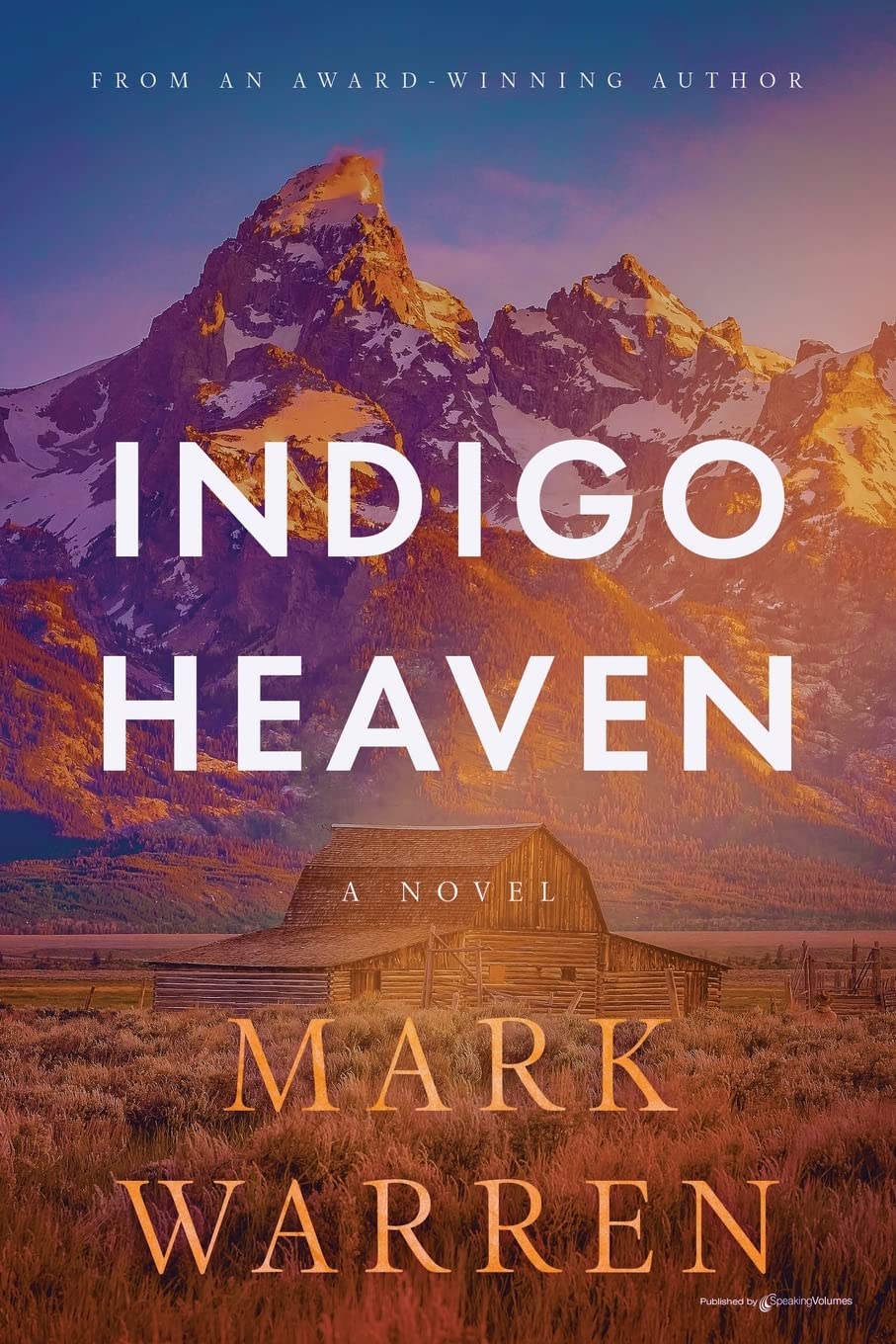 Indigo Heaven: Warren, Mark: 9781645409373: Amazon.com: Books
