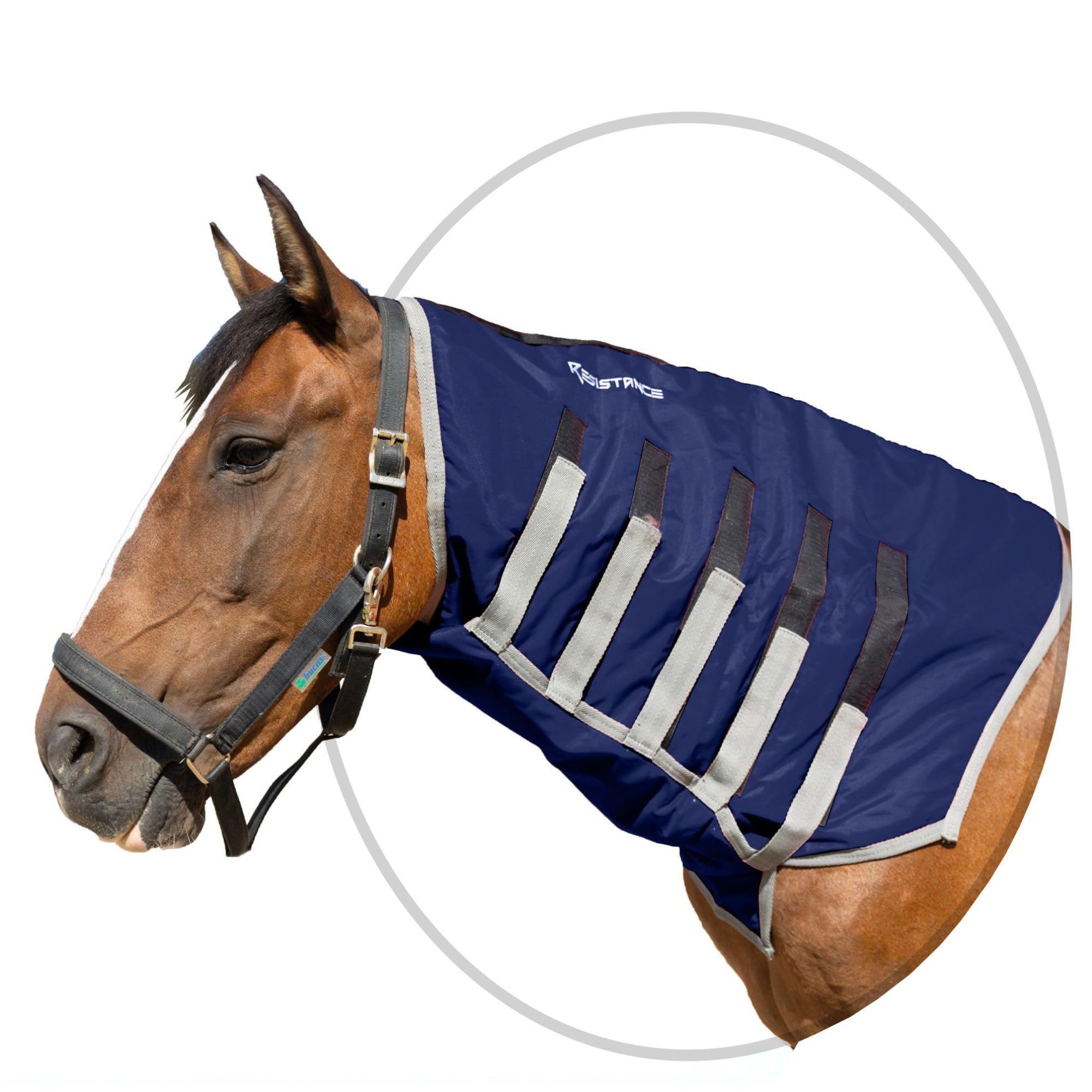 Snapklik.com : Resistance Lightweight Breathable Horse Sleazy Slickers ...