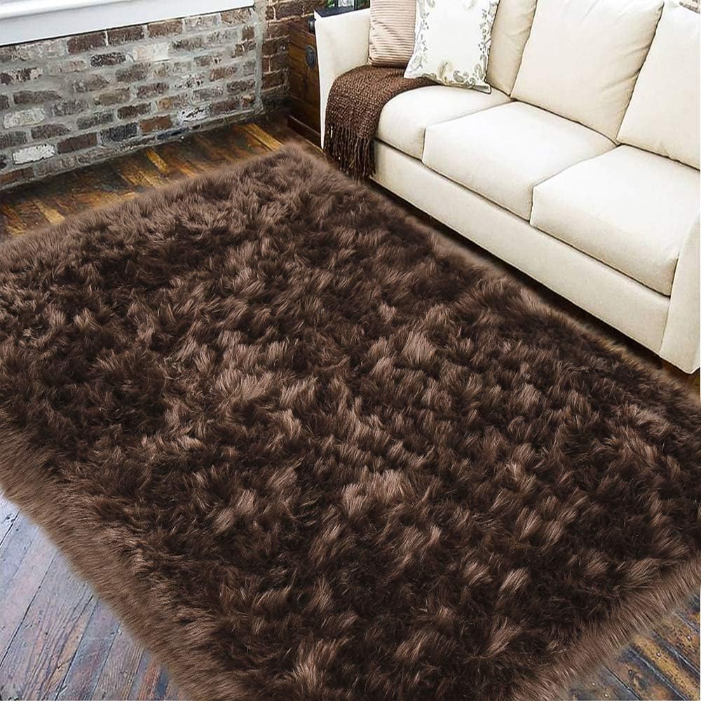 Amazon.com: BENRON Living Room Rug 4x6 Area Rug Dark Brown Fluffy Rugs ...