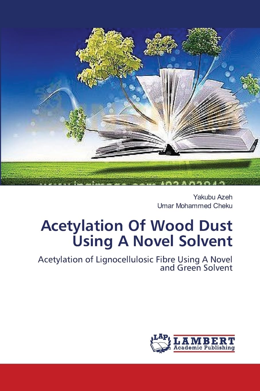 Snapklik.com : Acetylation Of Wood Dust Using A Novel Solvent ...