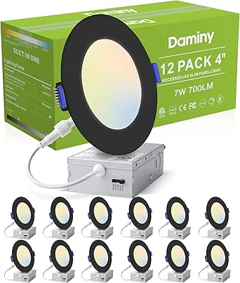 DAMINY 12 Pack 4 Inch Black LED Recessed Lighting with Junction Box ...