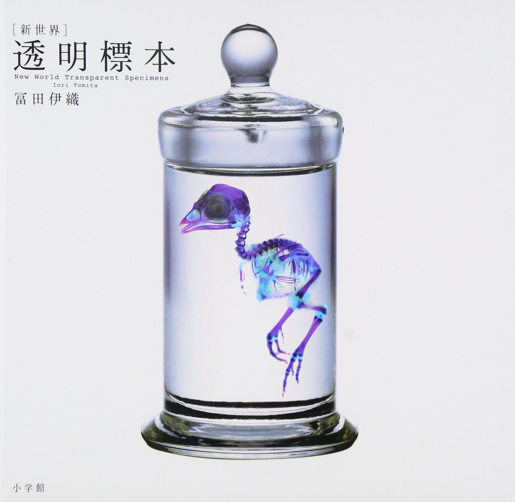 [新世界]透明標本~New World Transparent Specimen~ | 冨田 伊織 |本 | 通販 | Amazon