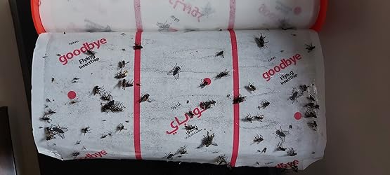 Dutch and Habro Goodbye Flying Insect Trap Effective and Powerful Safe ...