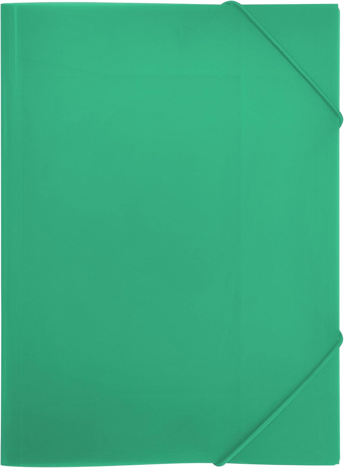 Amazon.com : RAYLU PAPER - A4 Folder with Elastic Bands and Flaps ...