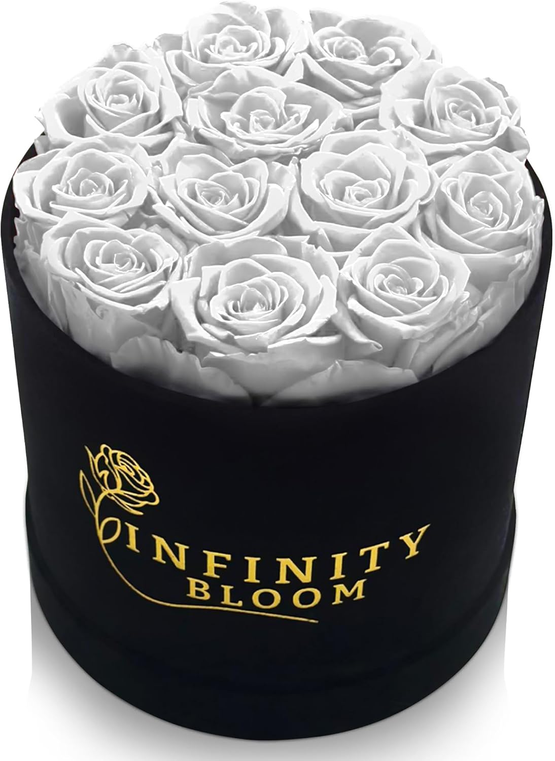 Amazon.com: Infinity Bloom 12-Piece Preserved Roses in a Box - Forever roses in Velvet Box ...