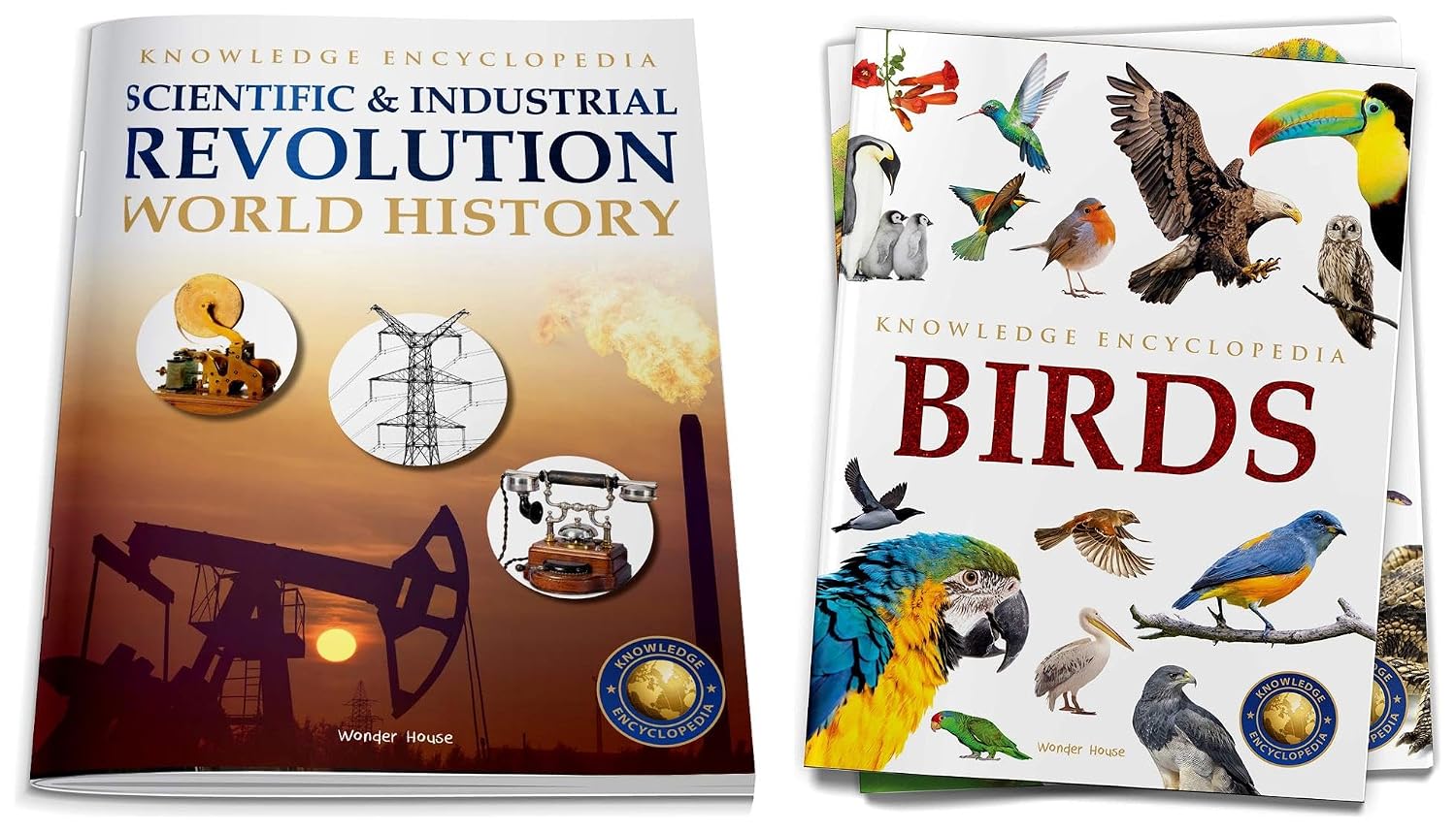Buy Animals - Birds : Knowledge Encyclopedia For Children & World ...
