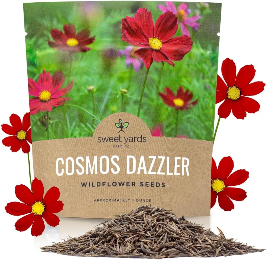 Amazon.com : Cosmos Seeds in a Mixture of 11 Varieties - Long Blooming ...