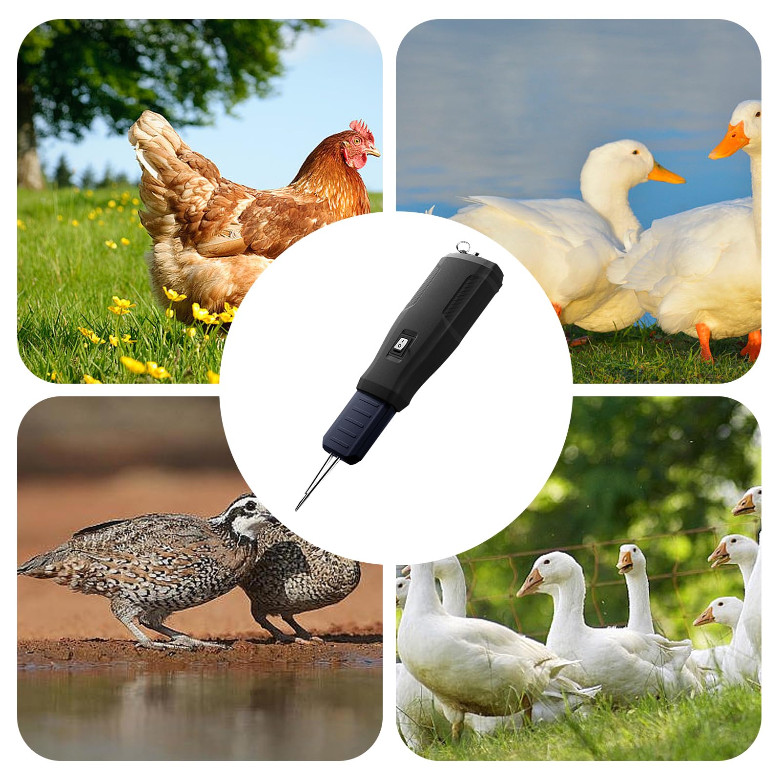 Snapklik.com : Handheld Chicken Plucker, Electric Poultry Plucker ...