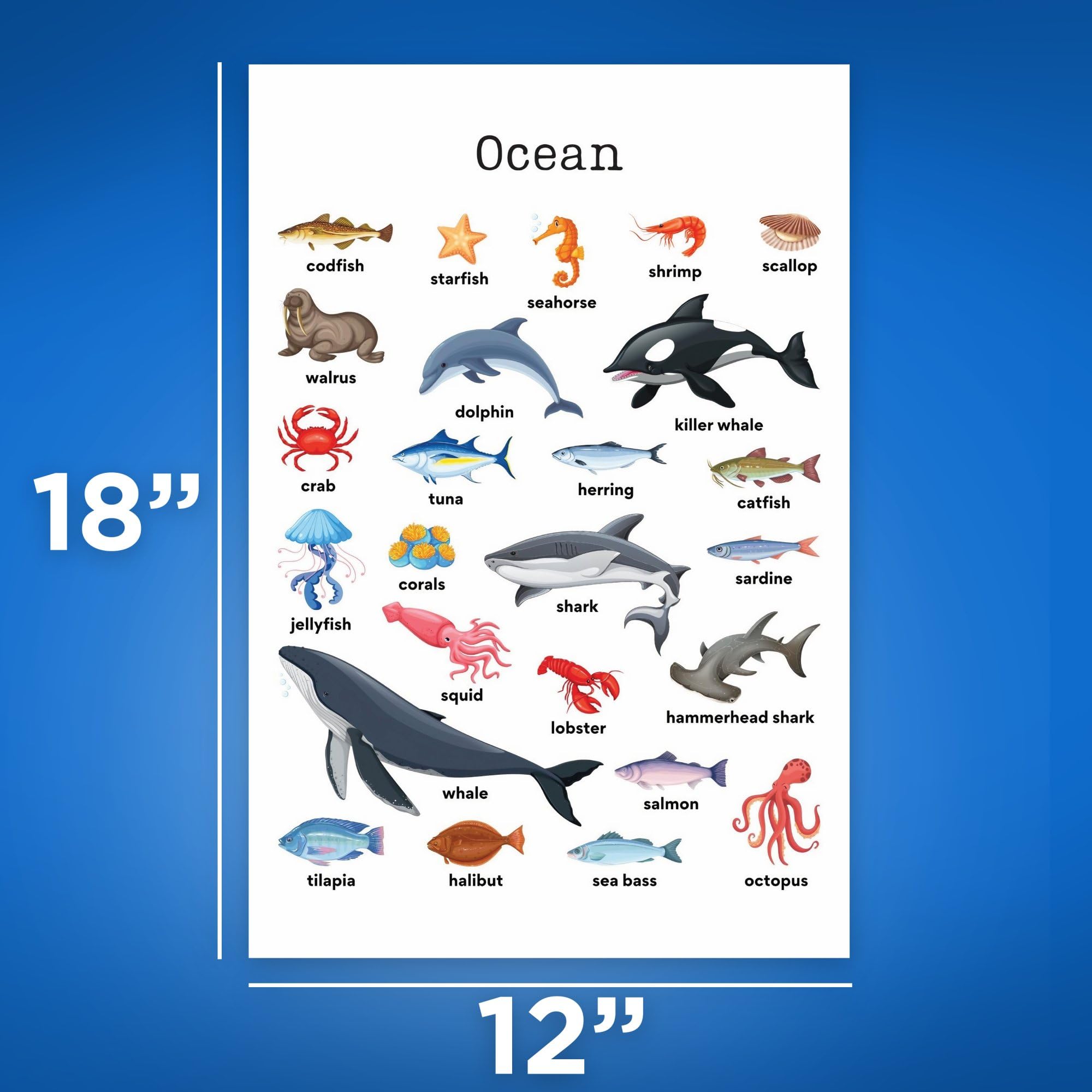 Sea Animals List Of 30 Popular Sea Animals With Esl Pictures Types Of