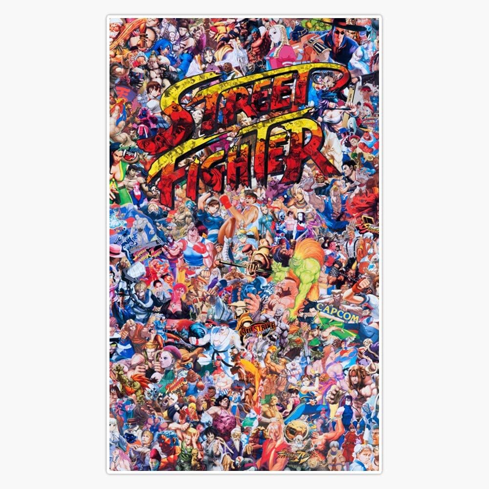 Amazon.com: Magnet Street Fighter Viny Magnetic Bumper Sticker 5 ...