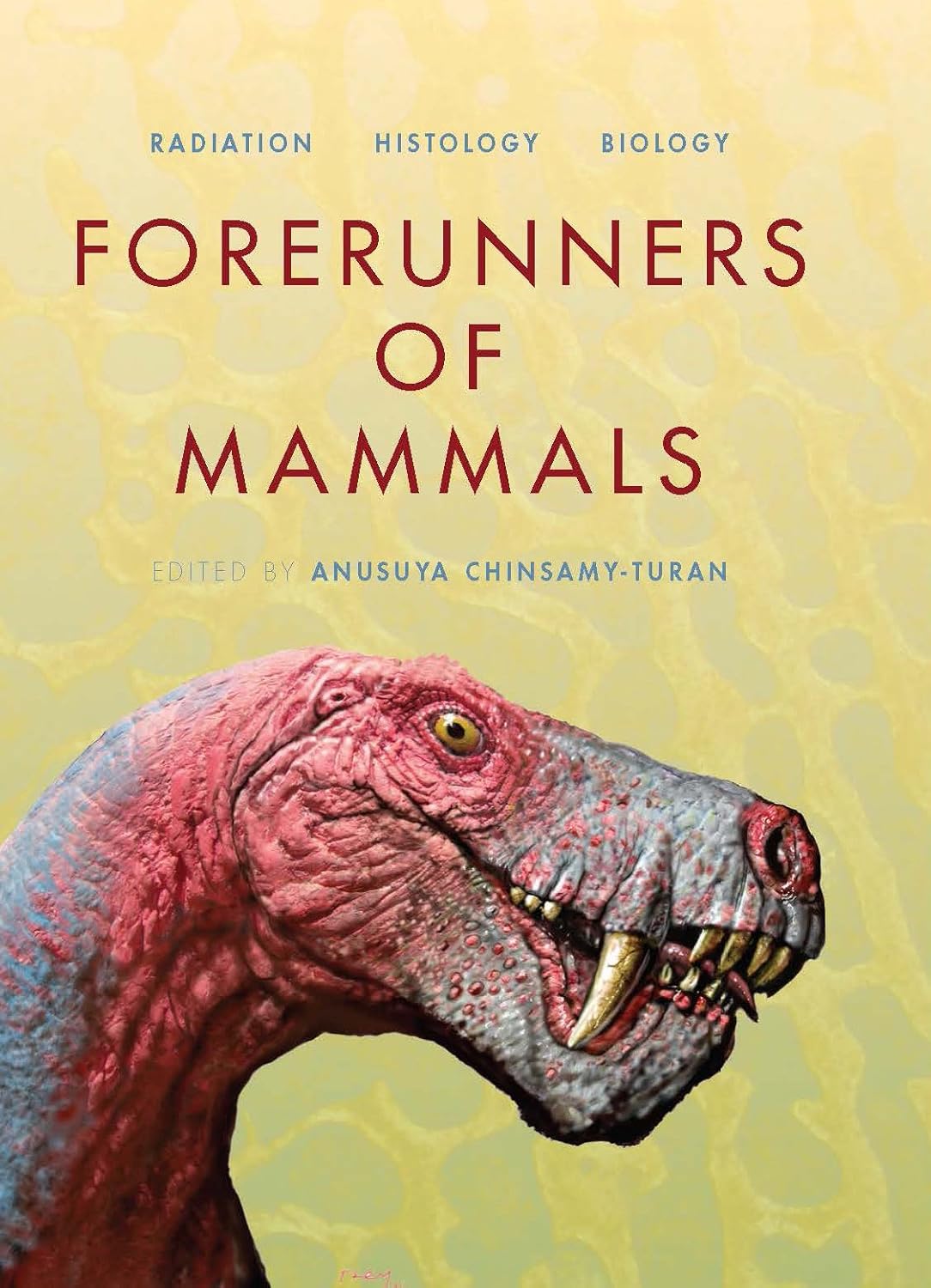 Amazon.fr - Forerunners of Mammals: Radiation, Histology, Biology ...