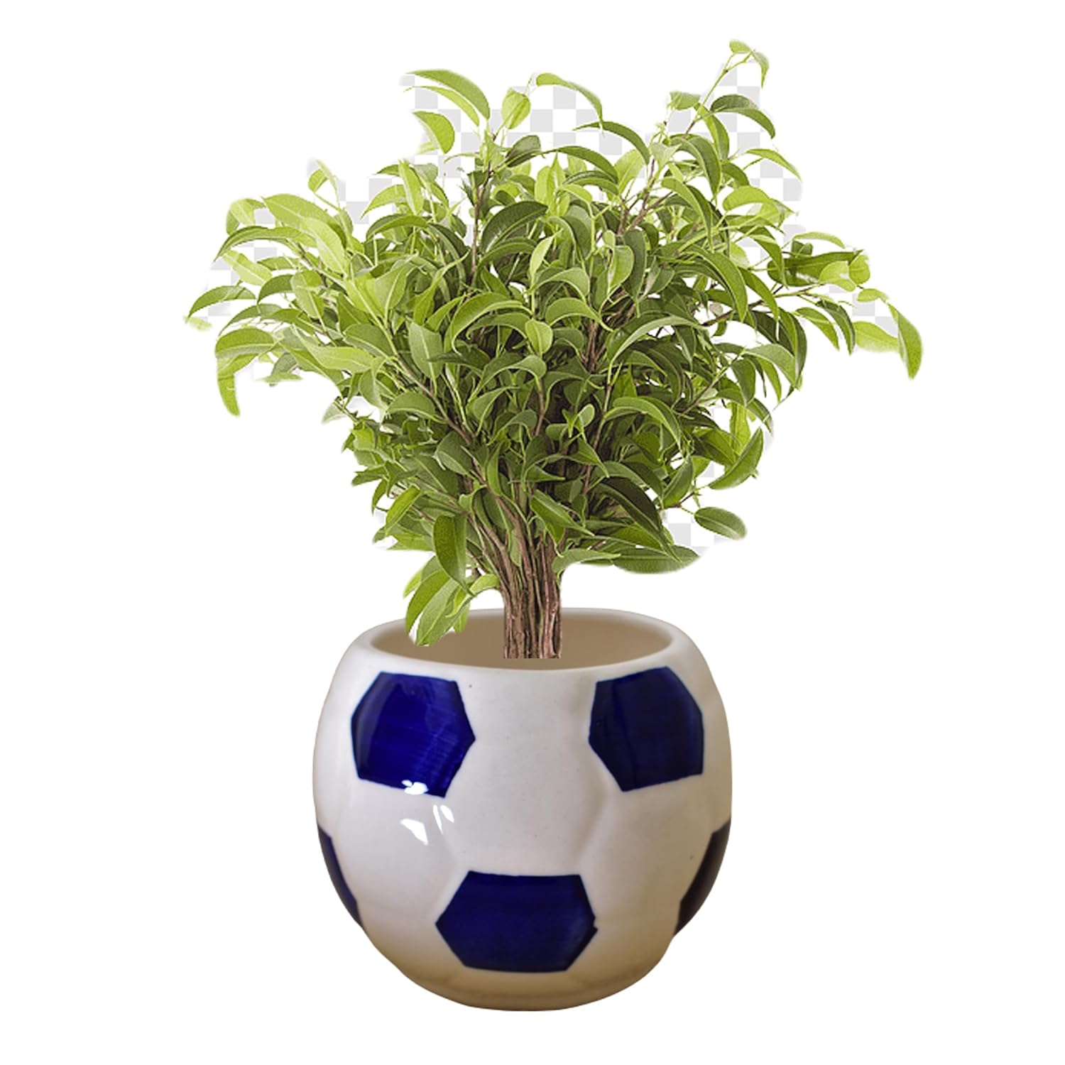 Kunhar Ceramic Football Planter, Football Shape Flower Pot, Without ...