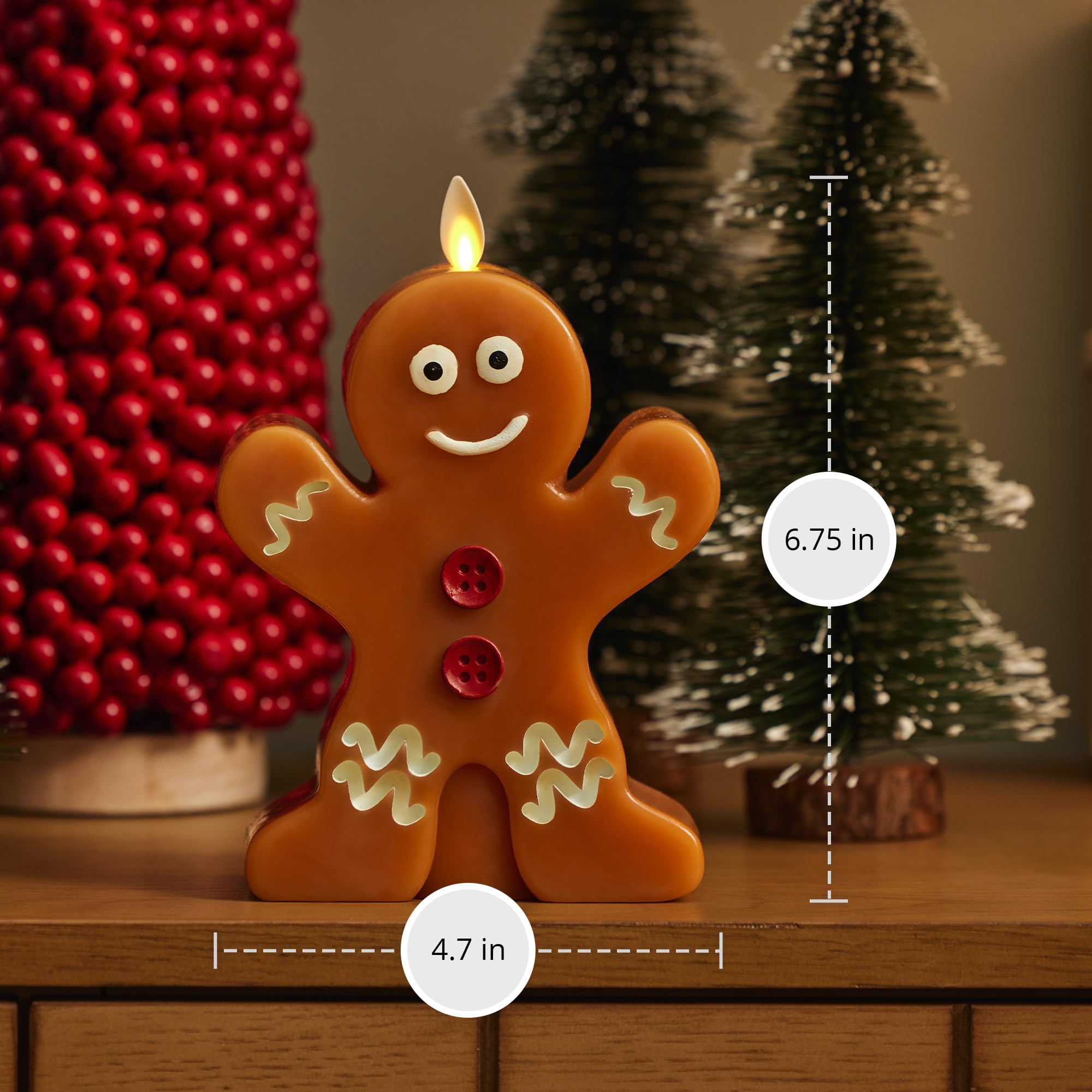 Real Gingerbread Man
