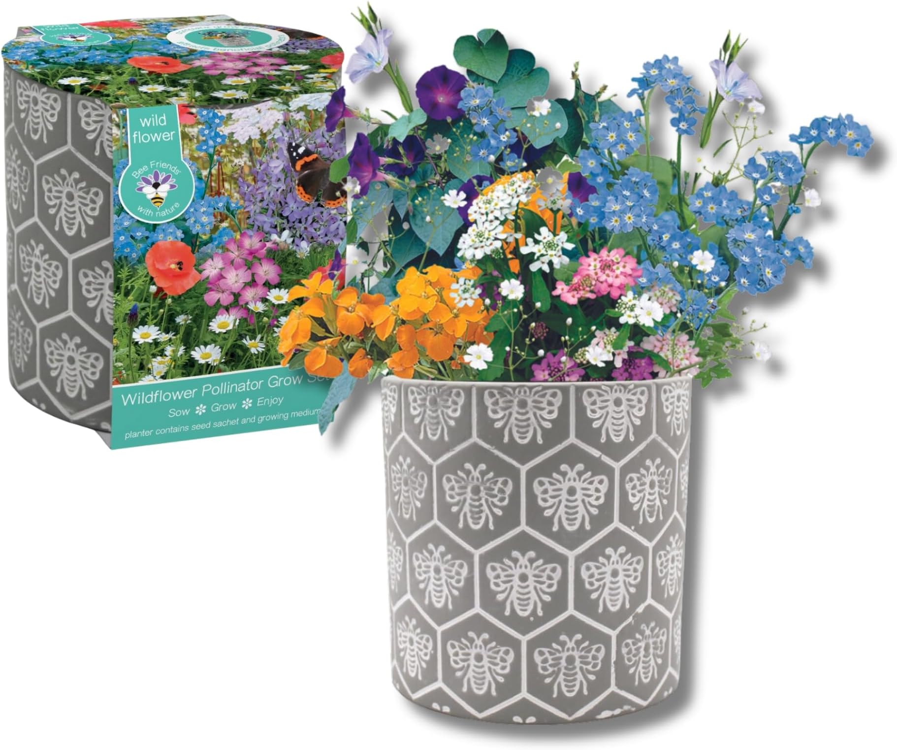 Scented Sweet Pea Seeds Growing Kit - Perfect Gardening Gift Grow Your ...