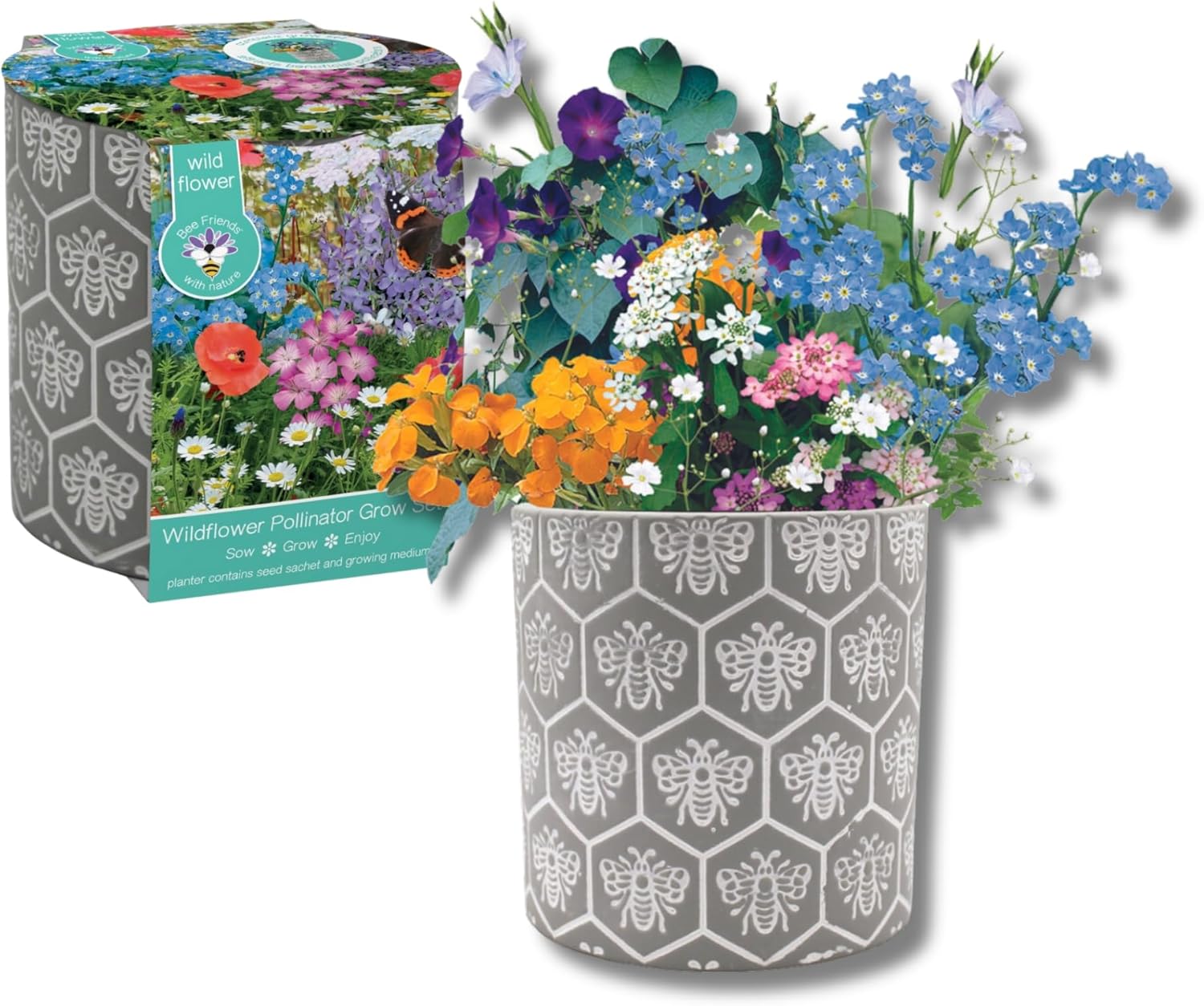 BEES Wild Flower Seeds for Planting UK - Pollinator Flower Seed Mix ...