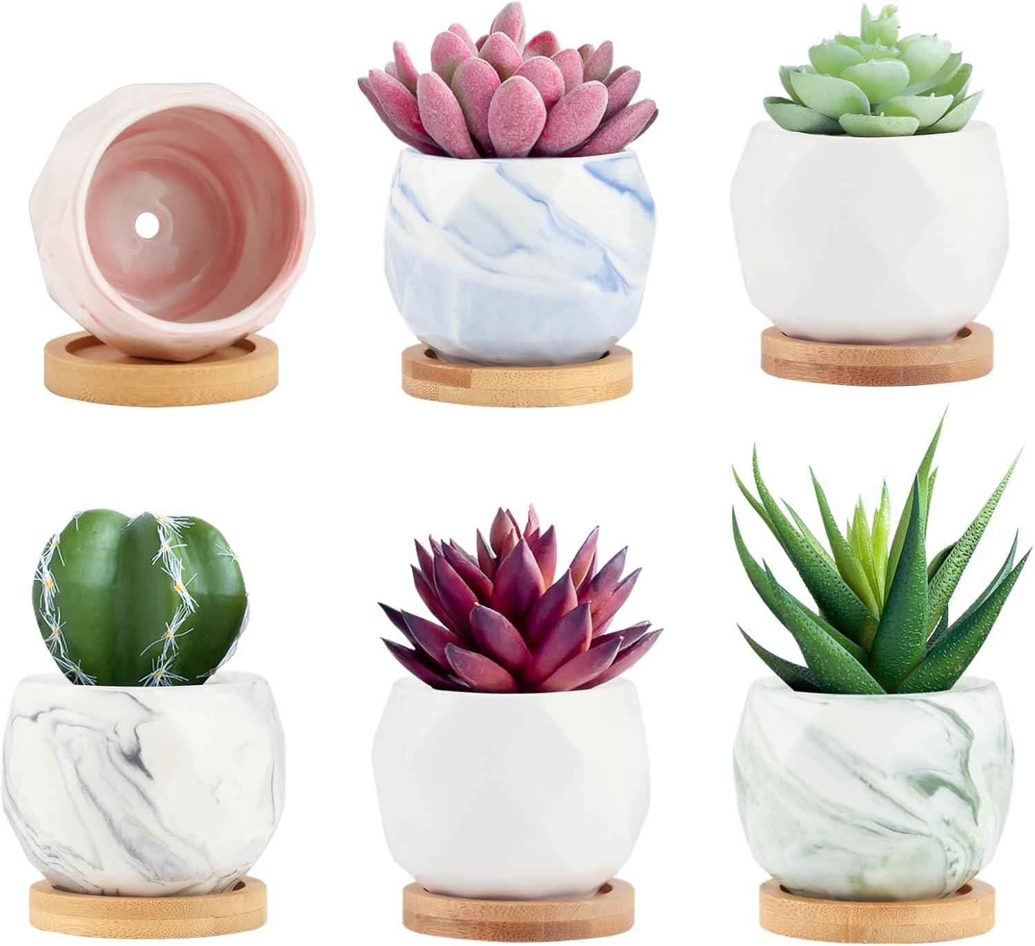 Amazon.com: yeesport 6 Succulent Pots with Saucers, Small Planter with ...