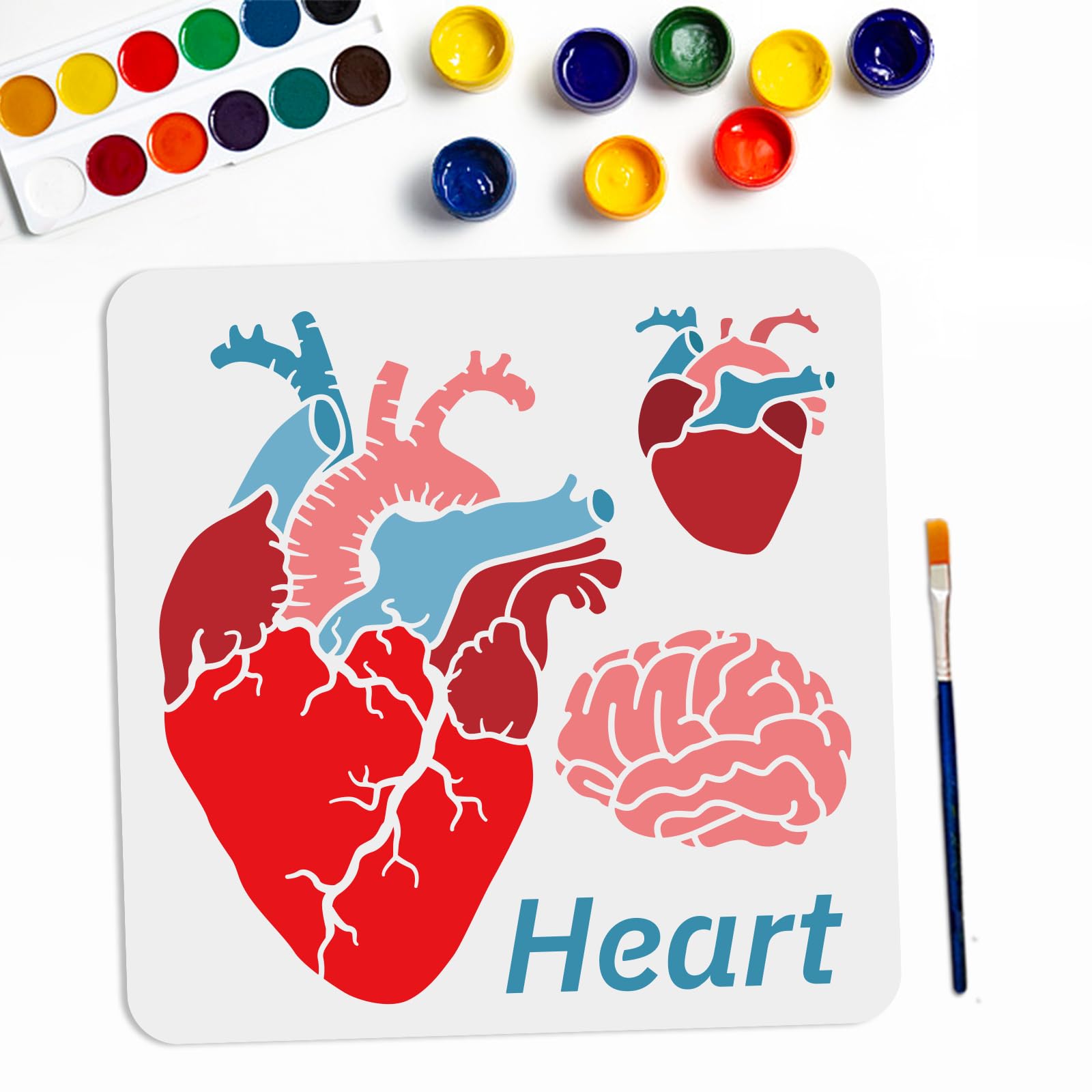 MAYJOYDIY Heart Brain Stencils Heart Anatomical Stencil Heart Stencil ...