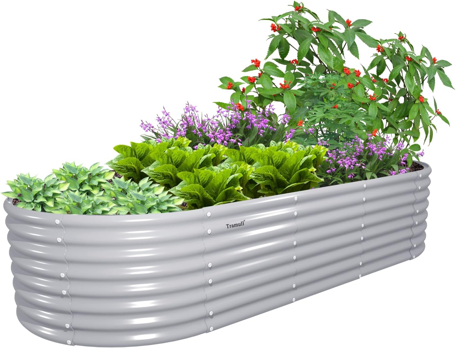Amazon.com: Tramull 1 Pack 8x3x1.5FT Galvanized Raised Garden Bed Kit ...
