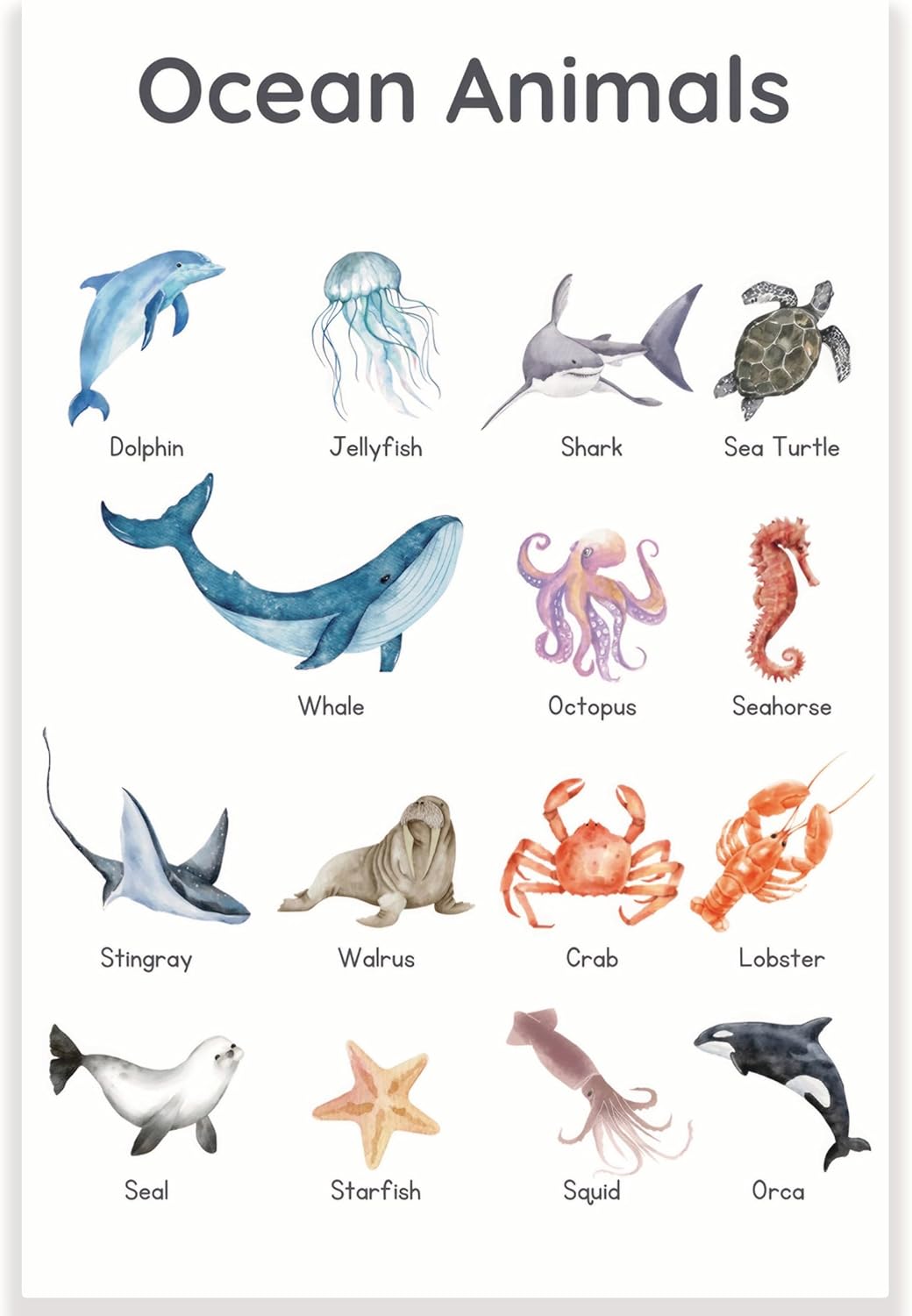 Amazon.com: Printlabz Ocean Animals Poster Classroom Poster - Learn ...