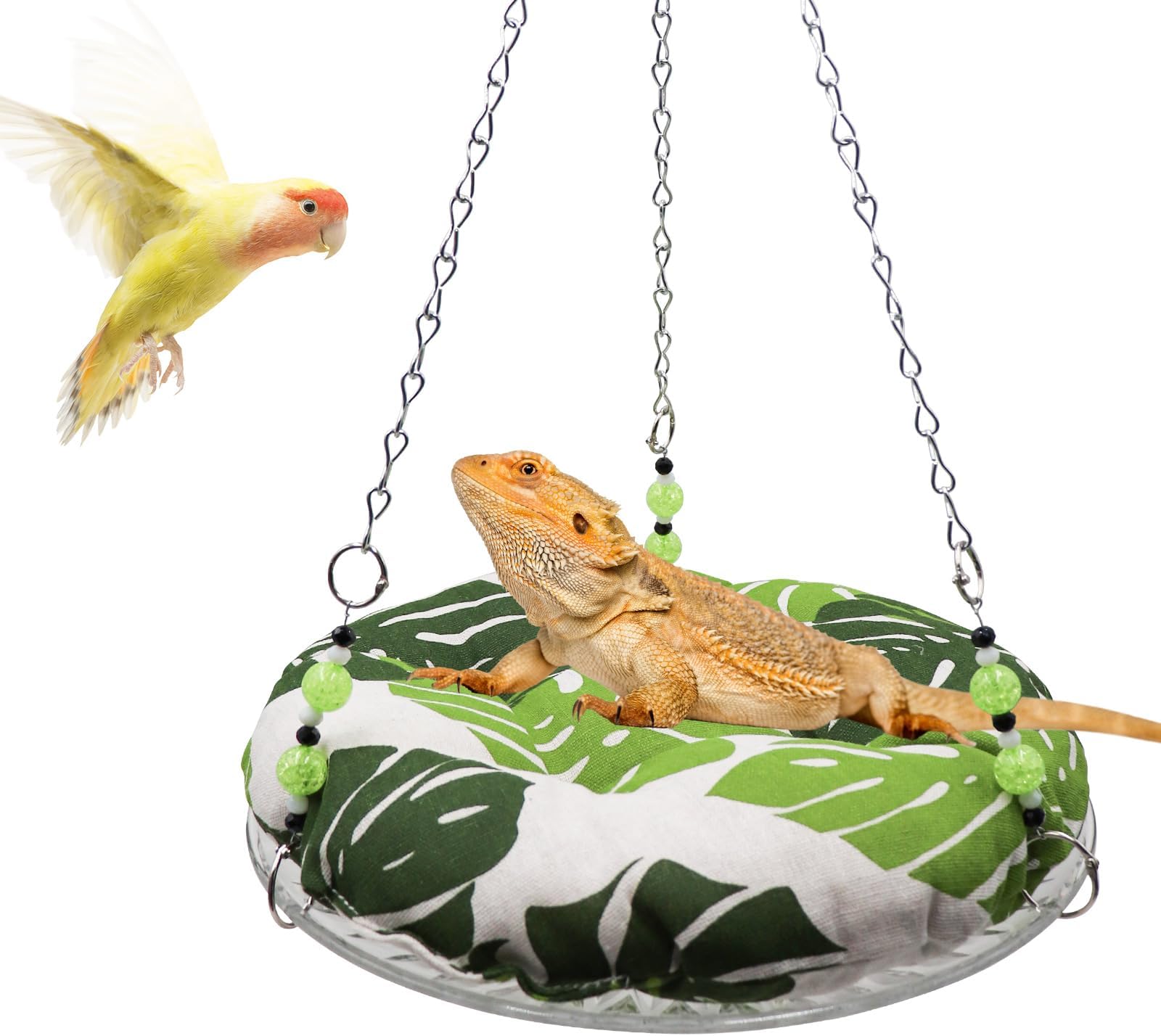 Amazon.com : Reptile Bed，Reptile Hammock Swing Hanging Bed, Lizard ...