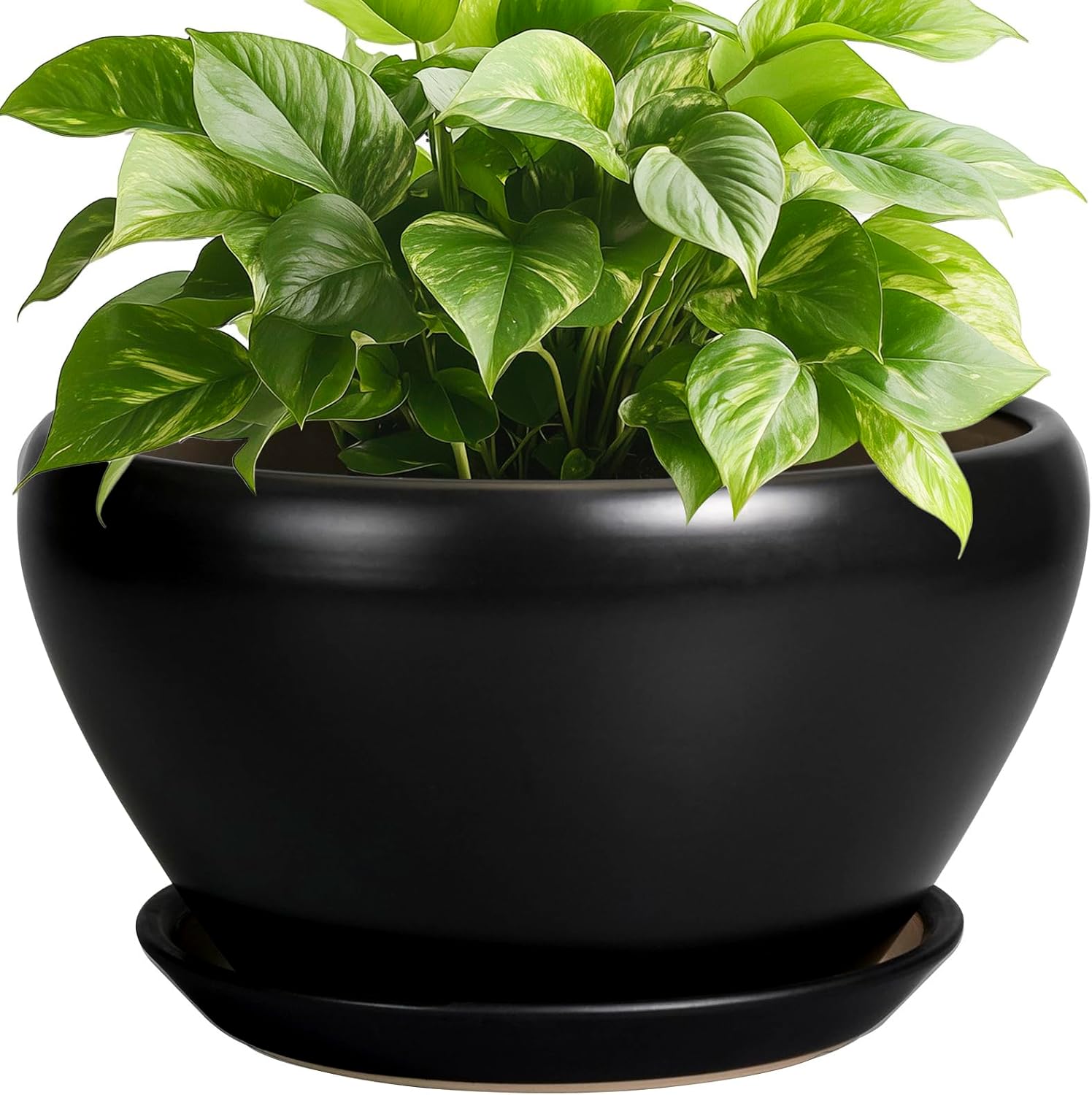 Amazon.com : Ceramicfor Plant Pot Large 9 Inch - Ceramic Pots for ...