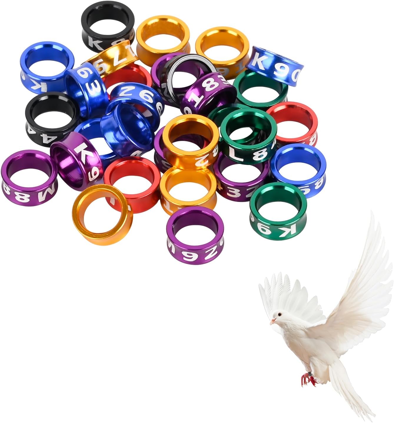 Amazon.com : STPCTOU Bird Rings, Bird Bands, Bird Leg Rings, Multicolor ...