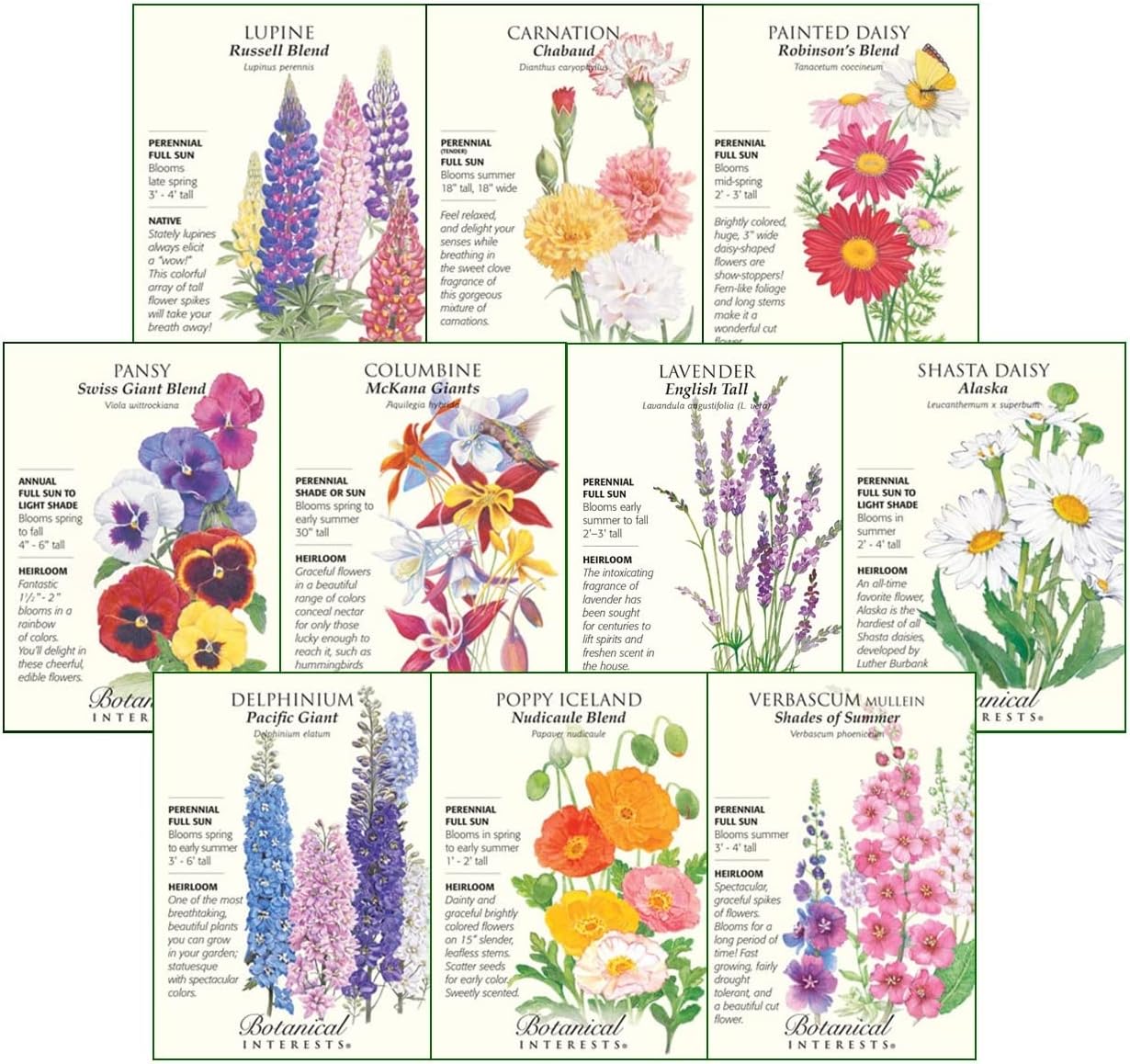 Amazon.com : Botanical Interests "Play it Again" Perennial Flower Seed ...