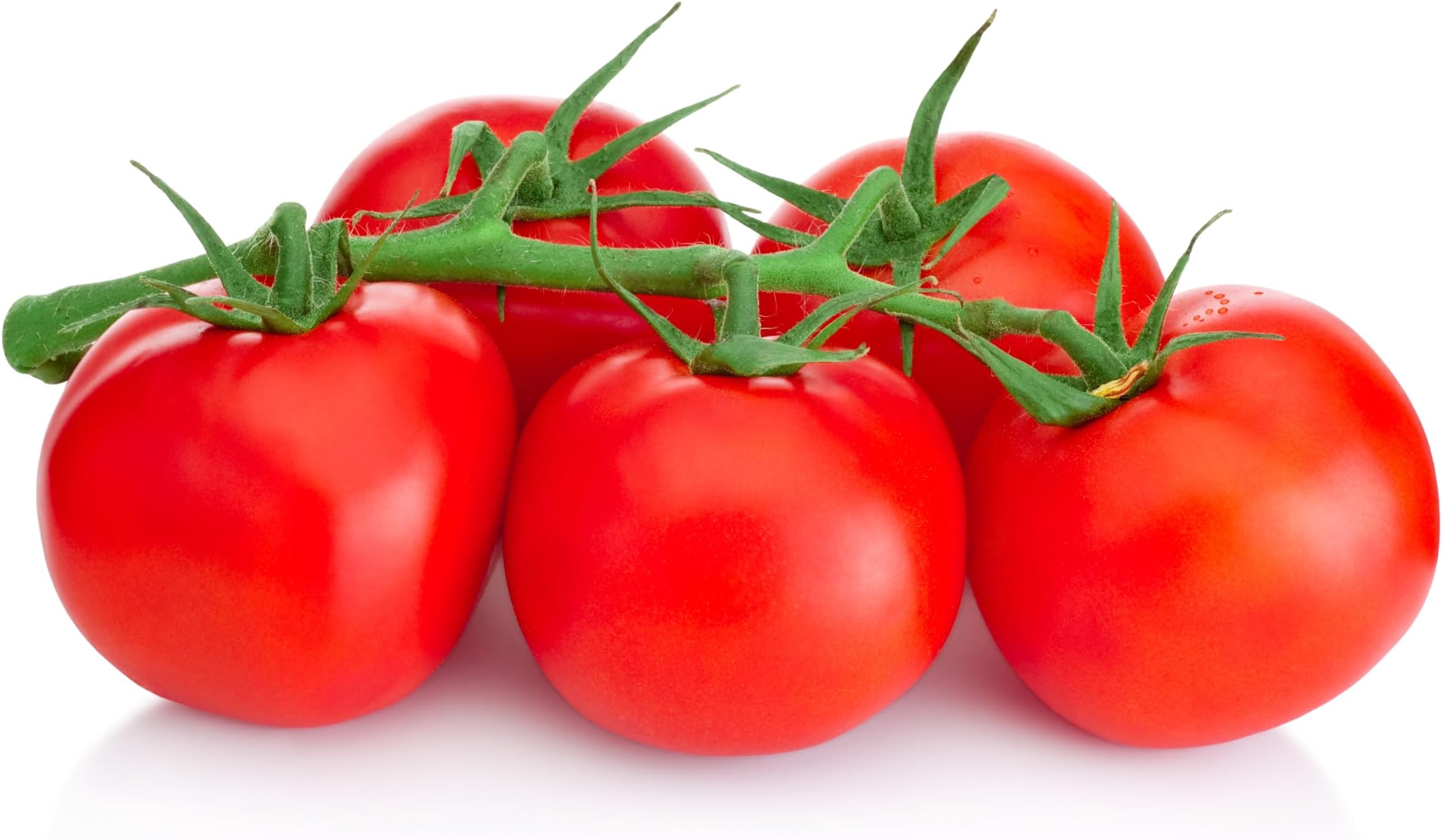 Amazon.com : 300+ Moneymaker Tomato Seeds for Planting - Heirloom, Non ...