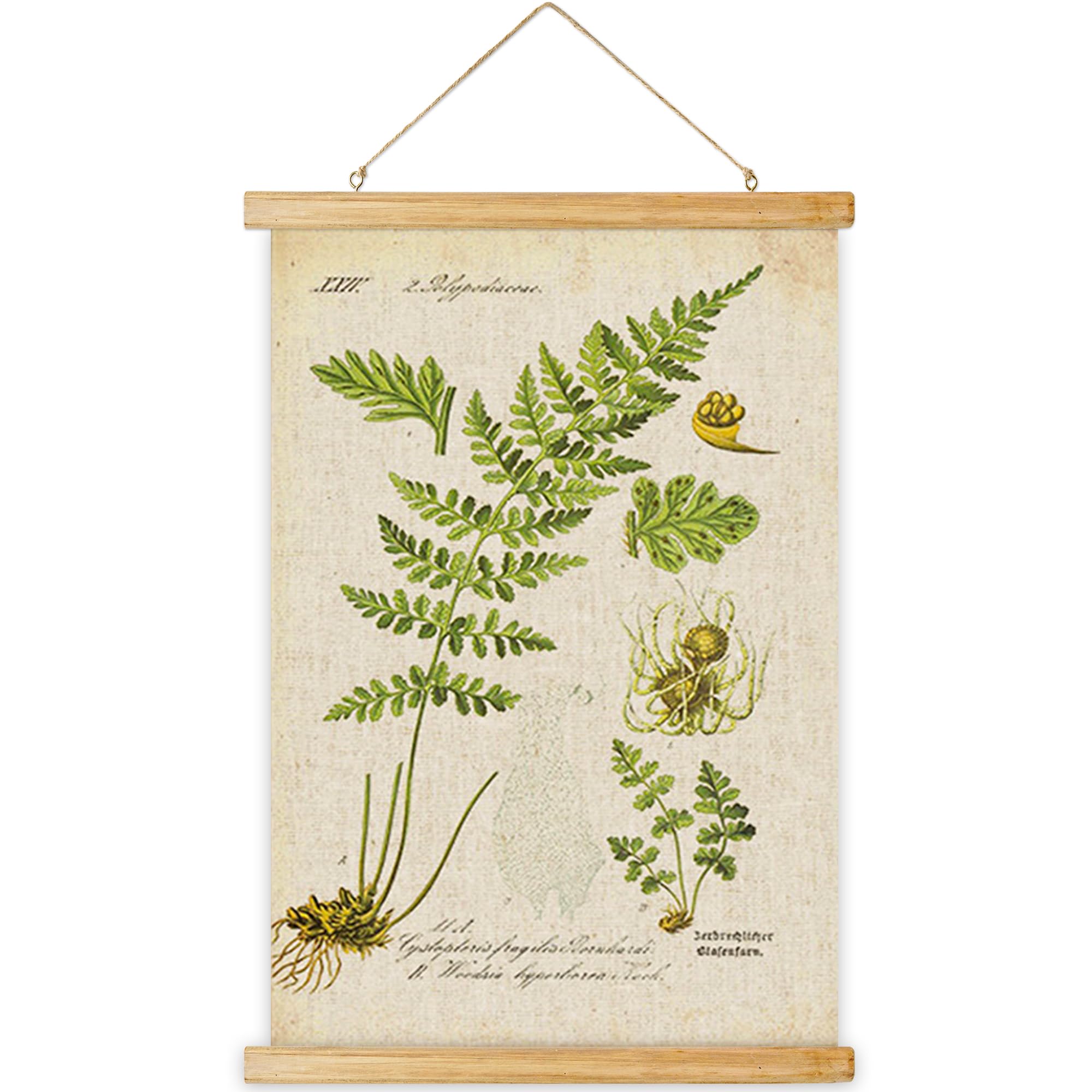 Amazon.com: GoojiuDa Vintage Poster, Aesthetic Rustic Art Prints, Cute ...