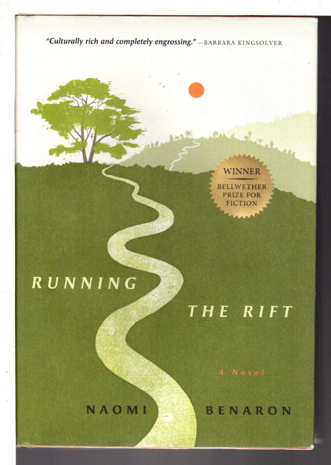Amazon.com: Running the Rift: 9781616200428: Benaron, Naomi: Books