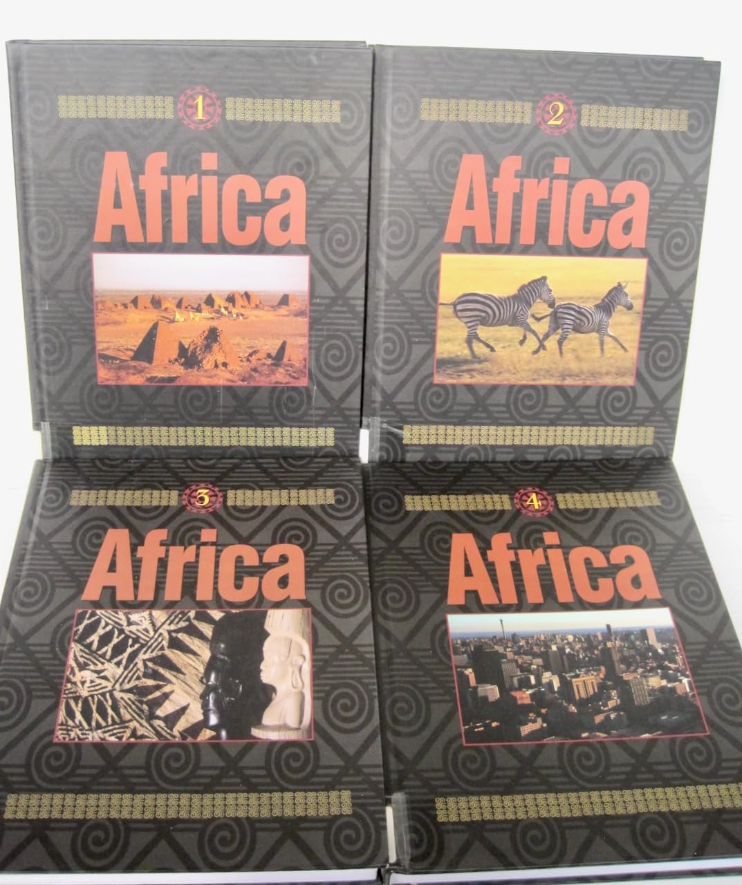 Amazon.com: Africa: An Encyclopedia for Students, 4 Volume set ...