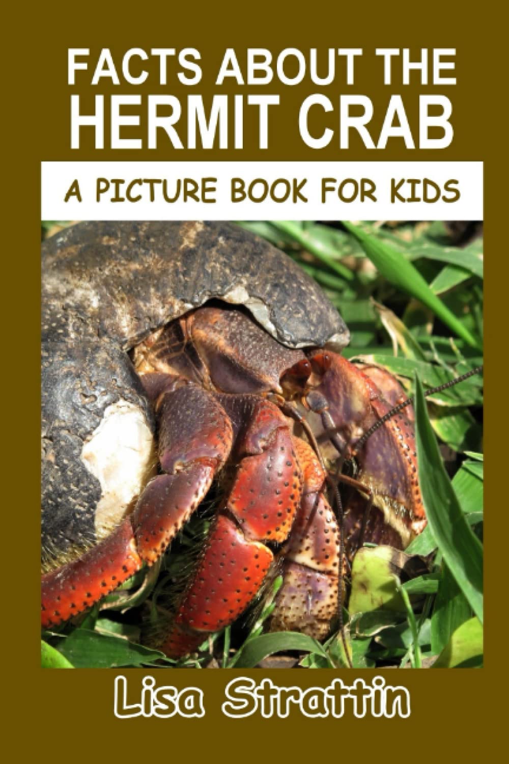 Facts About the Hermit Crab (A Picture Book For Kids): Strattin, Lisa ...