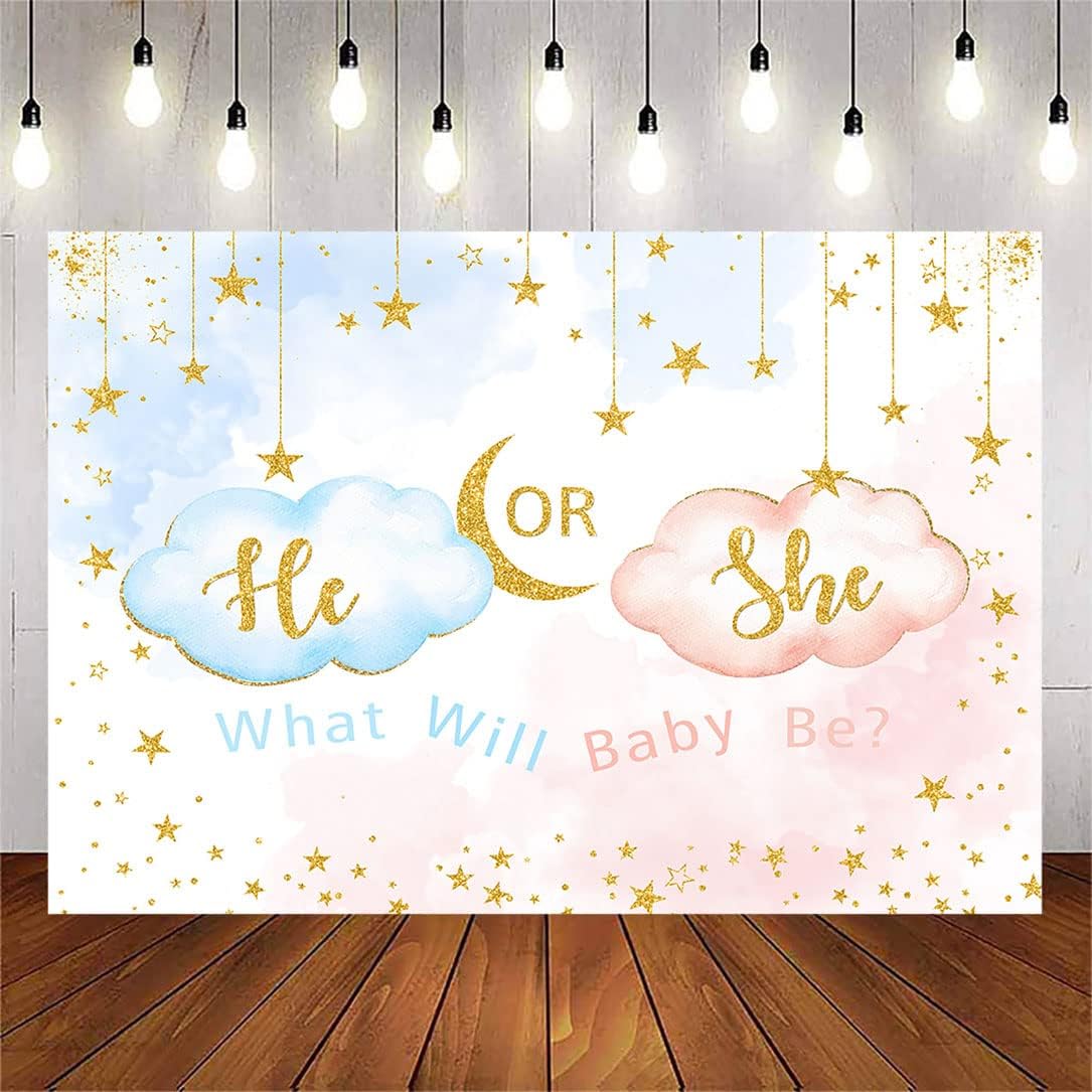 Amazon.com : Avezano Moon and Stars Gender Reveal Backdrops Pink or ...