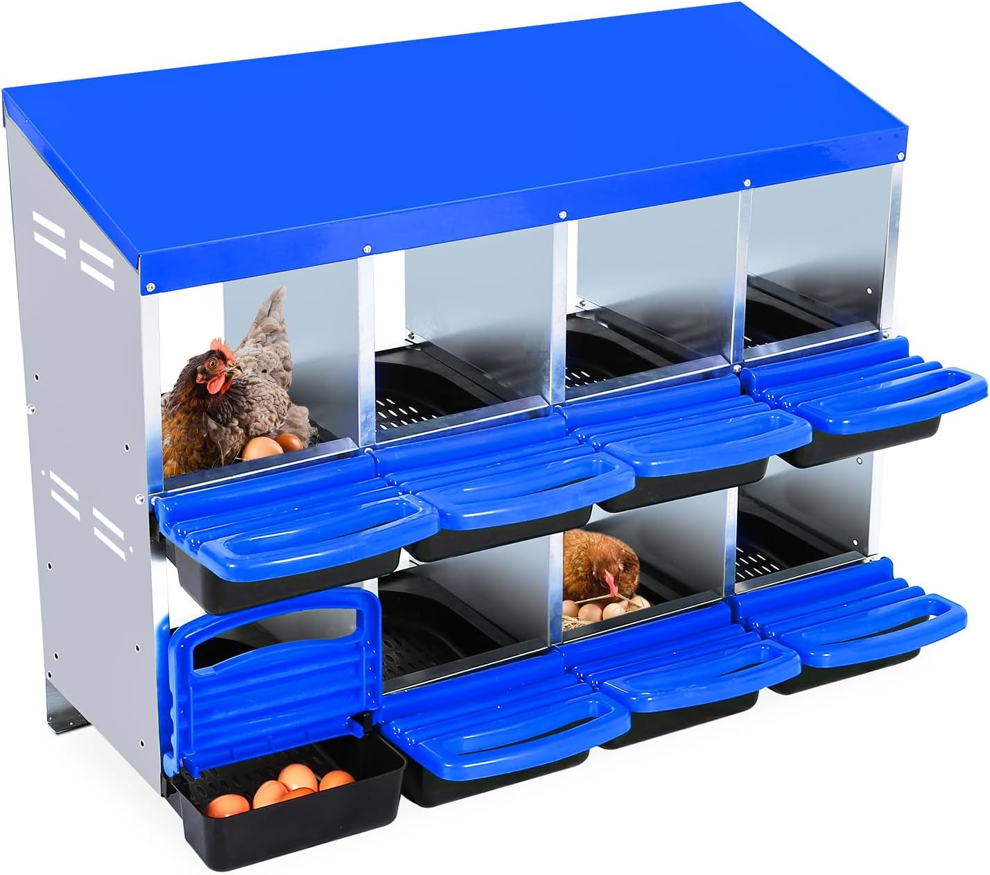 Amazon.com: Chicken Nesting Boxes, 8 Hole Metal Nesting Boxes for ...
