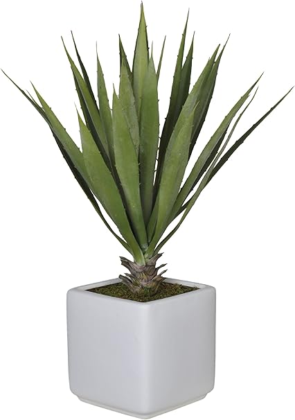 Amazon.com: House of Silk Flowers Artificial Baby Yucca in White Cube ...