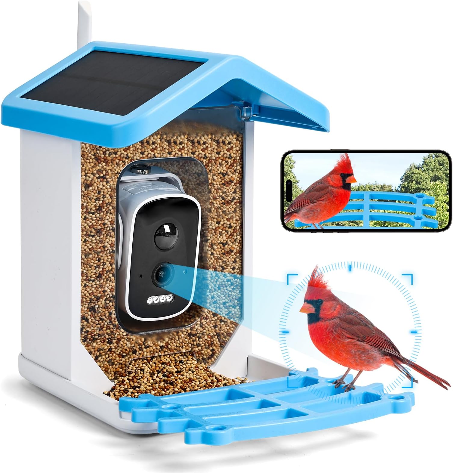 Amazon.com : HARYMOR Bird Feeder with Camera Supports AI Identify Bird ...