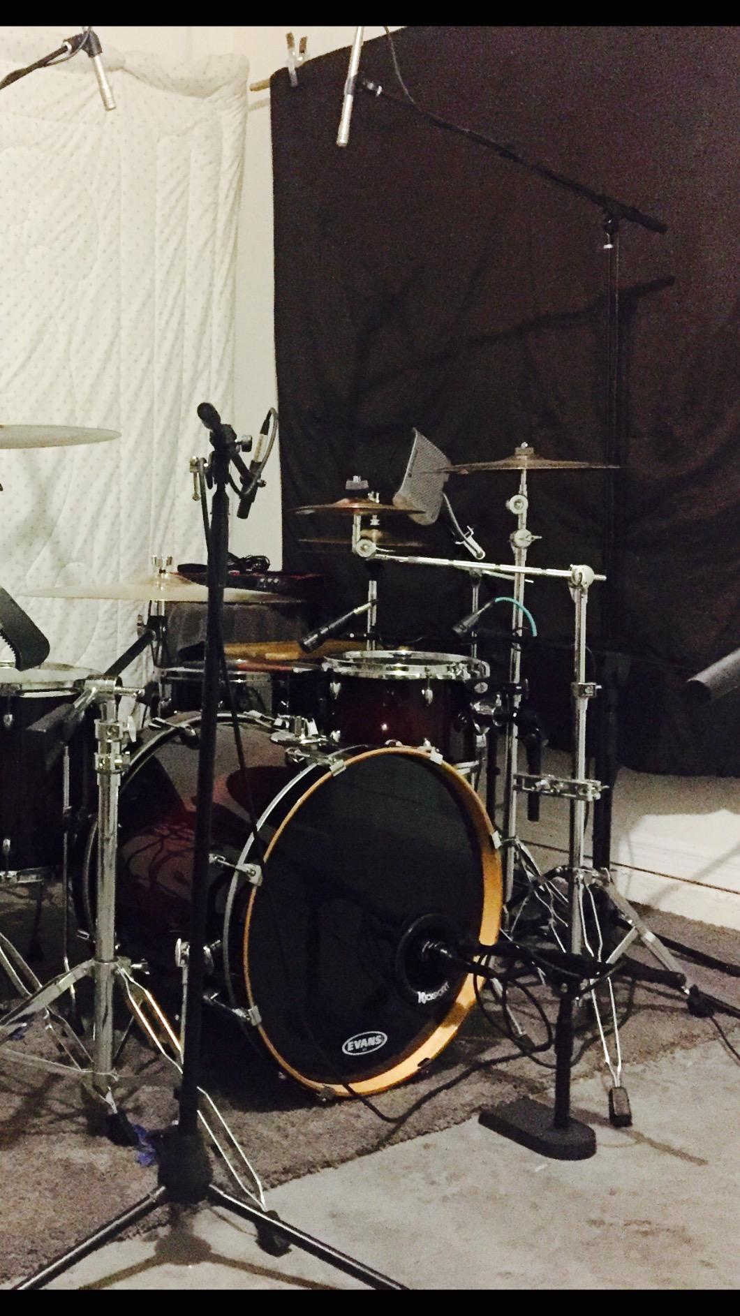 Amazon.com: Pearl Integrated Suspension System Tom Mount for 12"-16 ...