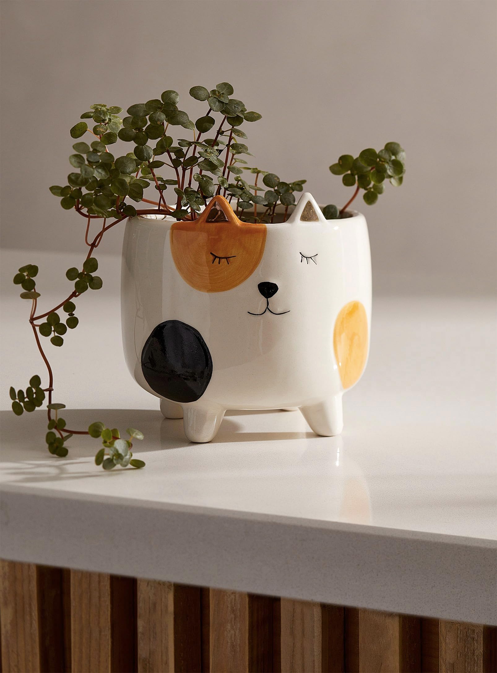 Amazon.com : SparkDazzle Cat Planter Pot | Succulent Planter | Animal ...