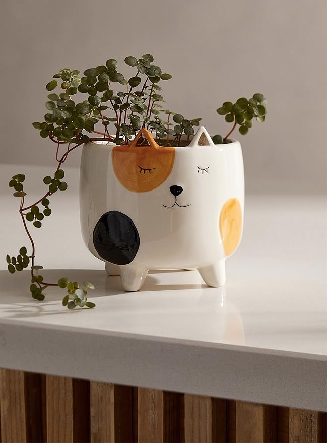 Amazon.com : SparkDazzle Cat Planter Pot | Indoor Planter for Plants ...