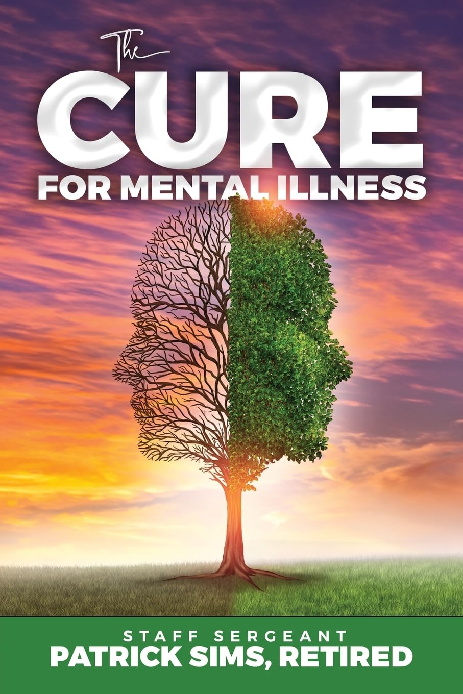 The Cure For Mental Illness Sims Patrick 9798989130931 Amazon
