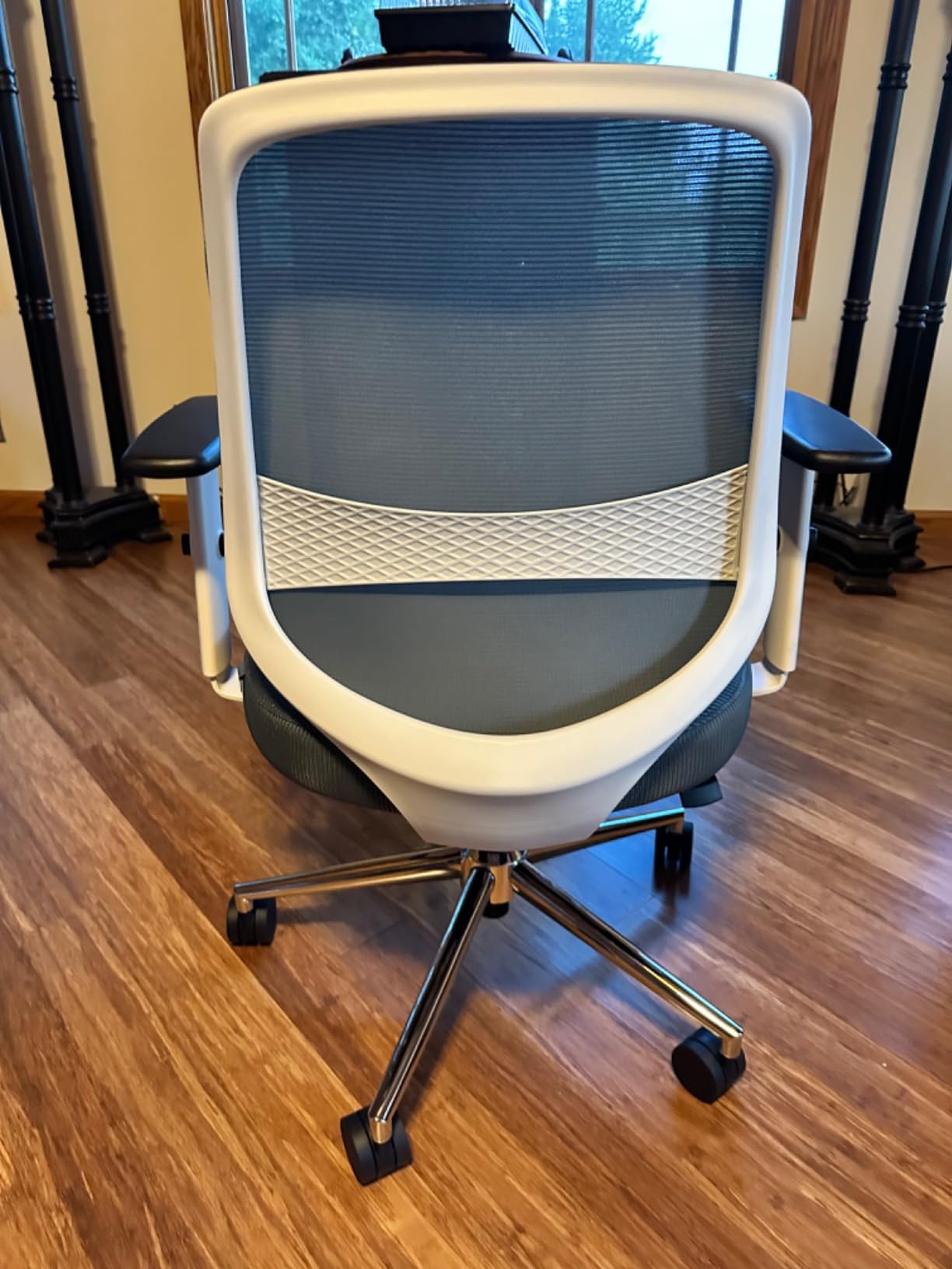 $45/mo - Finance Branch Daily Chair - Sustainable and Stylish Mesh ...