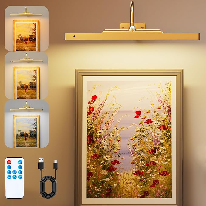 Brightown Picture Light Battery Operated with Remote,16in Picture ...