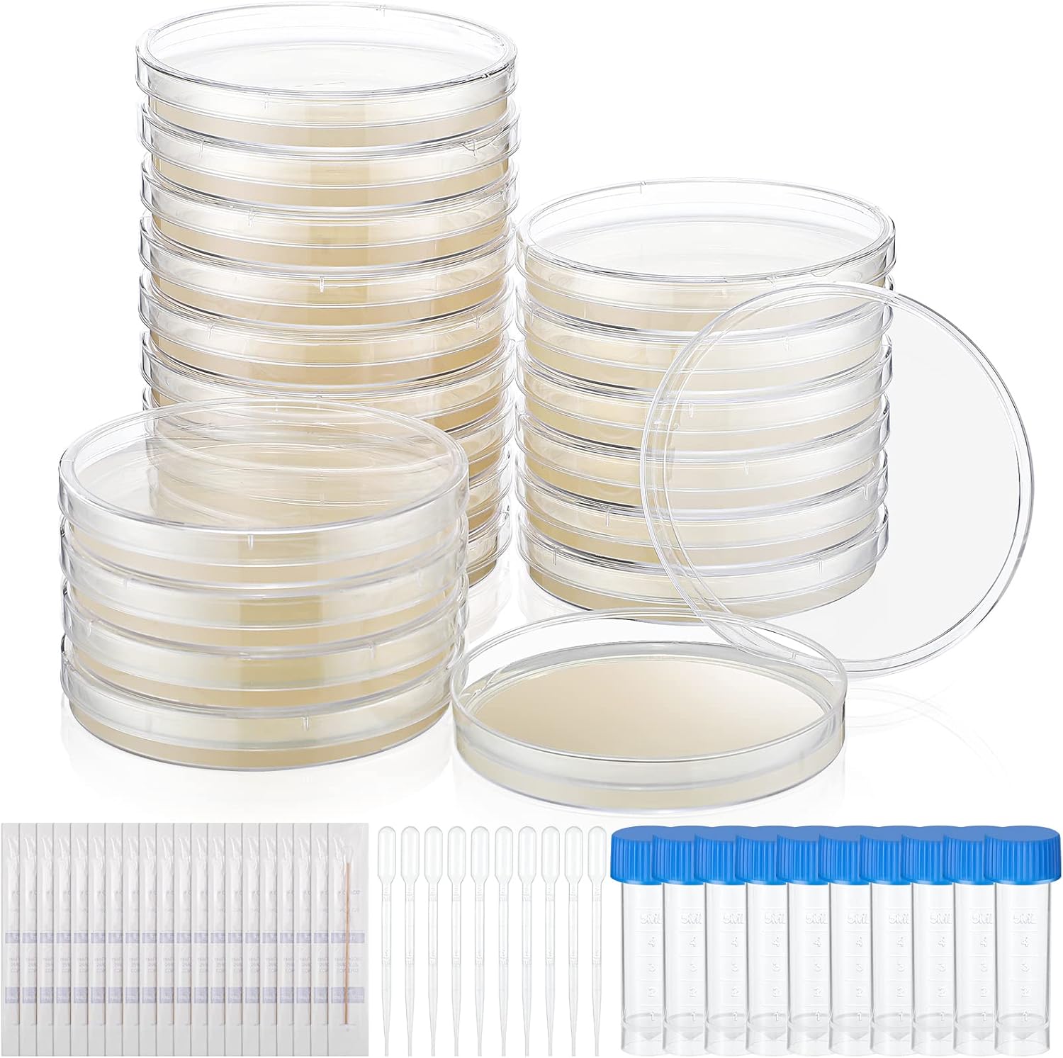 Juego de 60 platos de agar preparados que incluyen platos de Petri con hisopos de algodón agar ...