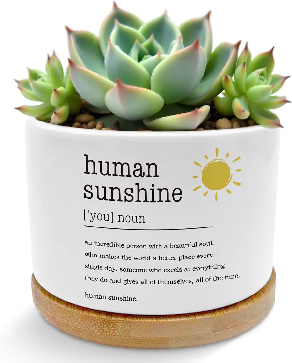Amazon.com : ROXMART Inspirational Human Sunshine Plant Pots ...