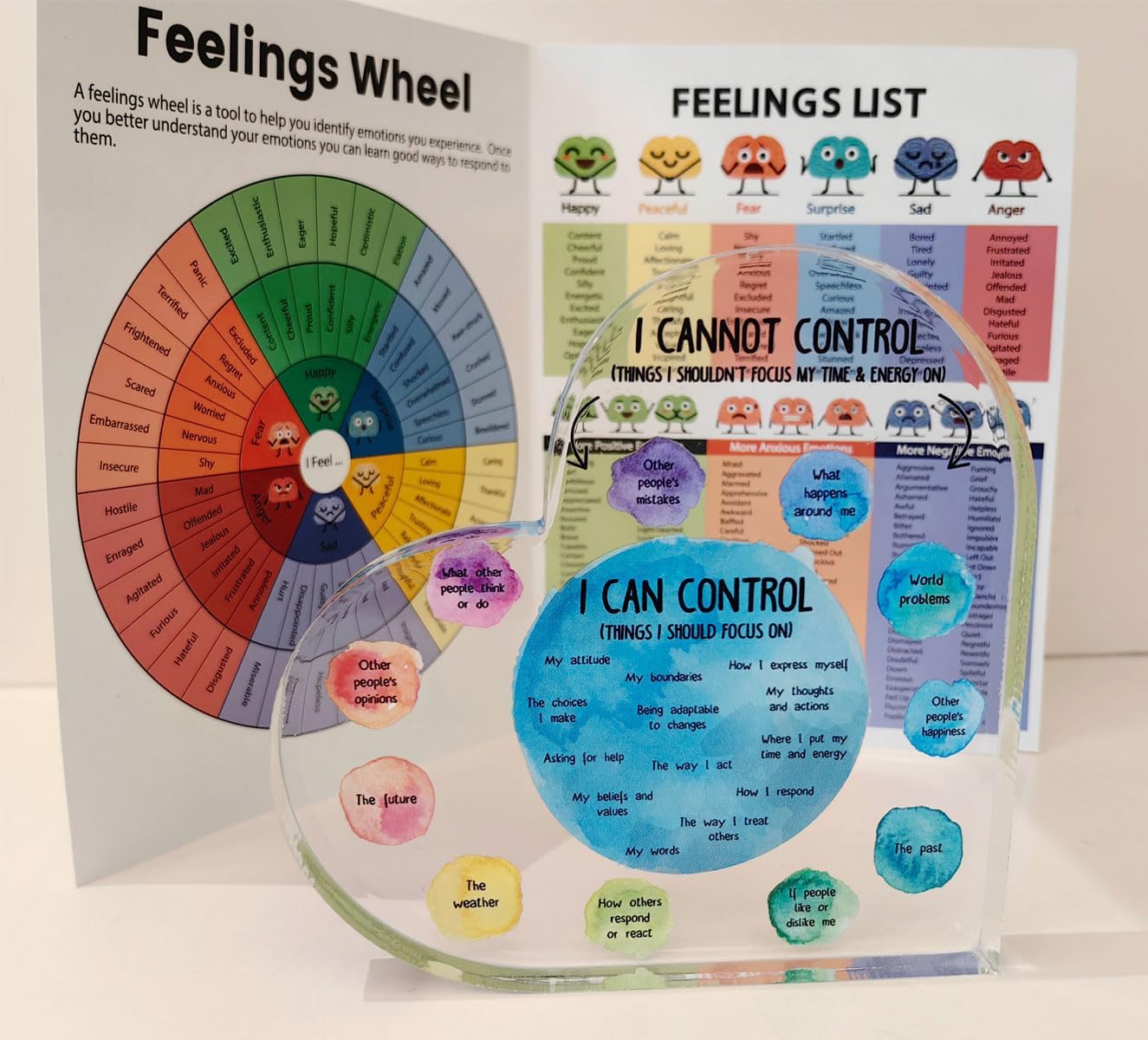 Amazon.com: ajdvart Mental Health Decor – Things I Can Control Heart ...
